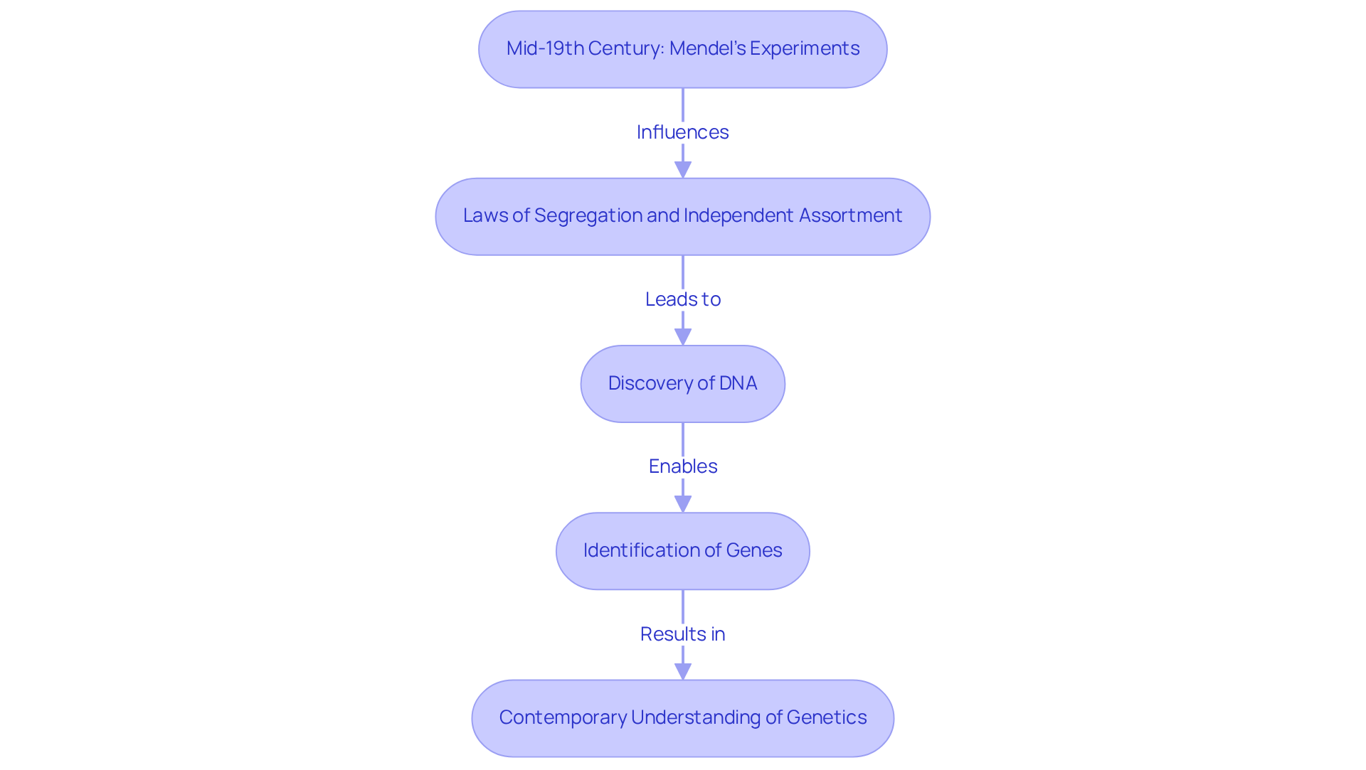 Follow the arrows to see how each discovery builds on the last, starting with Mendel's foundational work and leading to our modern understanding of genetics.