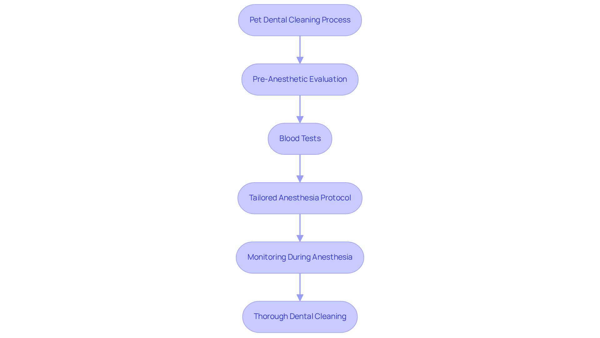This flowchart shows the steps involved in using anesthesia for your pet's dental cleaning. Each box represents a key part of the process, from evaluating your pet's health to ensuring their safety during the procedure. Follow the arrows to see how each step leads to a thorough and safe dental cleaning. This flowchart shows the steps involved in using anesthesia for your pet's dental cleaning. Each box represents a key part of the process, from evaluating your pet's health to ensuring their safety during the procedure. Follow the arrows to see how each step leads to a thorough and safe dental cleaning.
