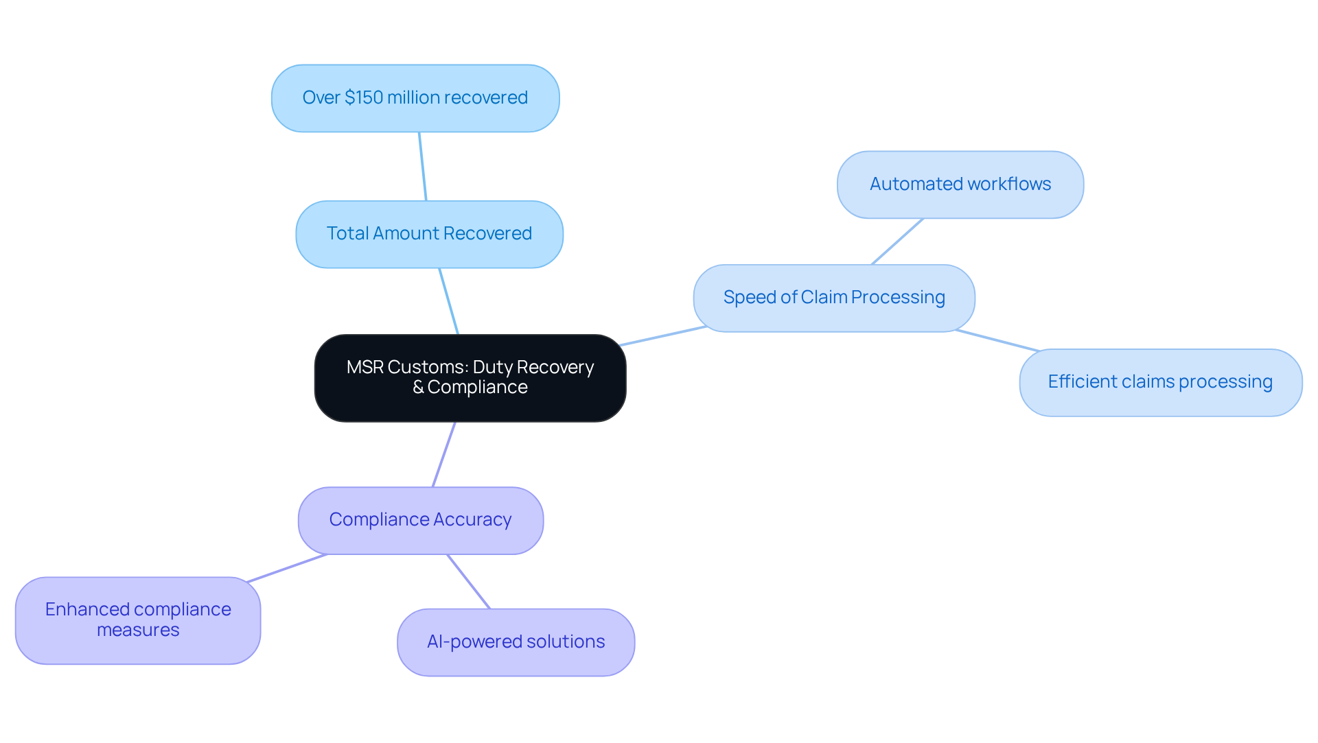 Start at the center with MSR Customs' main focus, then explore the branches to see how they recover duties, the metrics they use, and the technology that supports their services.