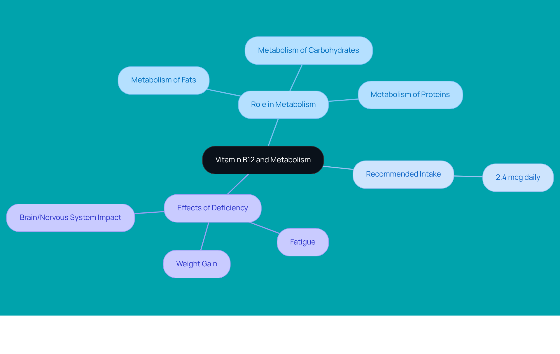 The central node represents Vitamin B12, with branches showing its roles, recommended intake, and deficiency effects. Each branch highlights a key aspect, making it easy to see how they connect and why B12 is essential for health.