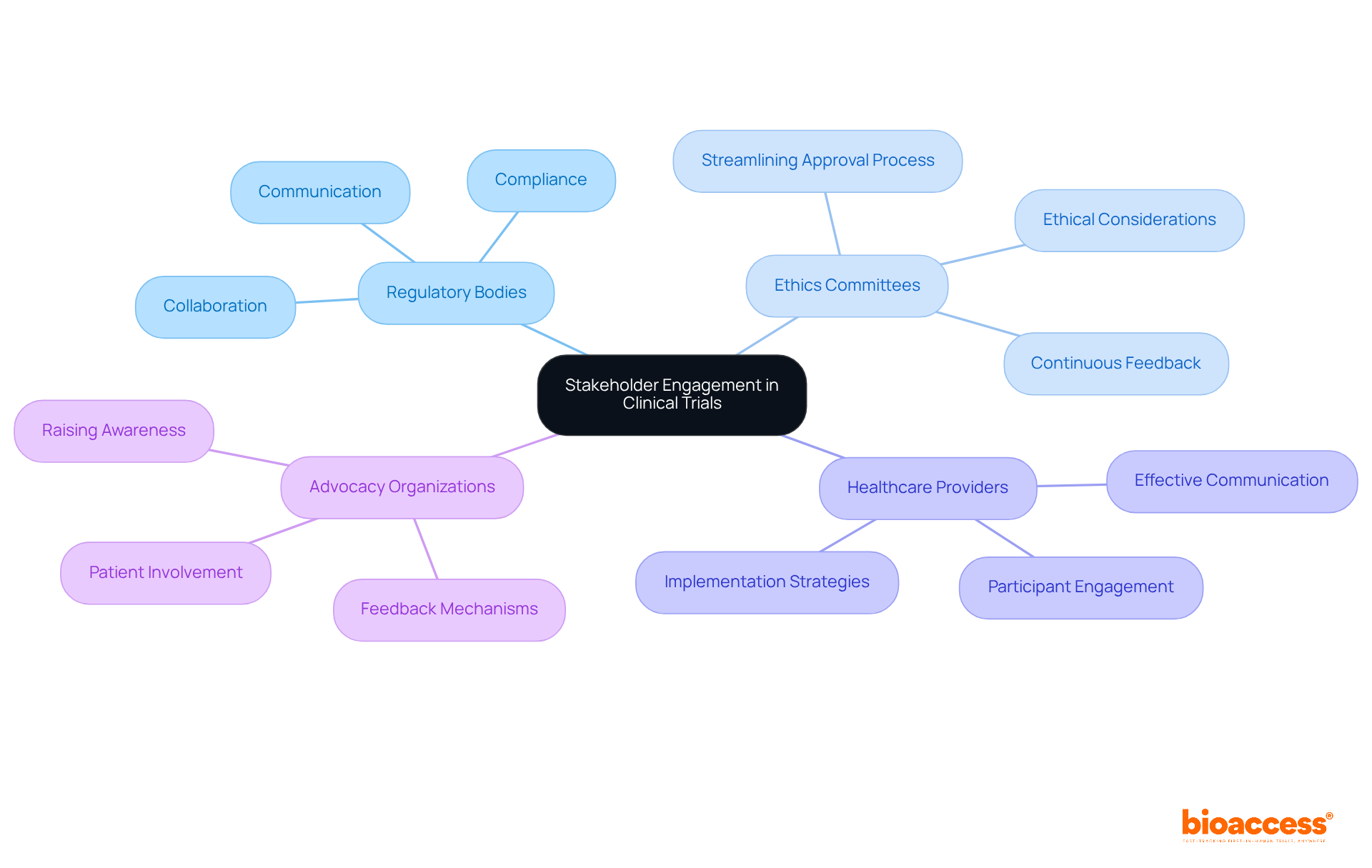 The center represents the main focus on stakeholder engagement, with branches showing different groups involved and their roles. Each sub-branch highlights specific actions or considerations that enhance collaboration and communication.