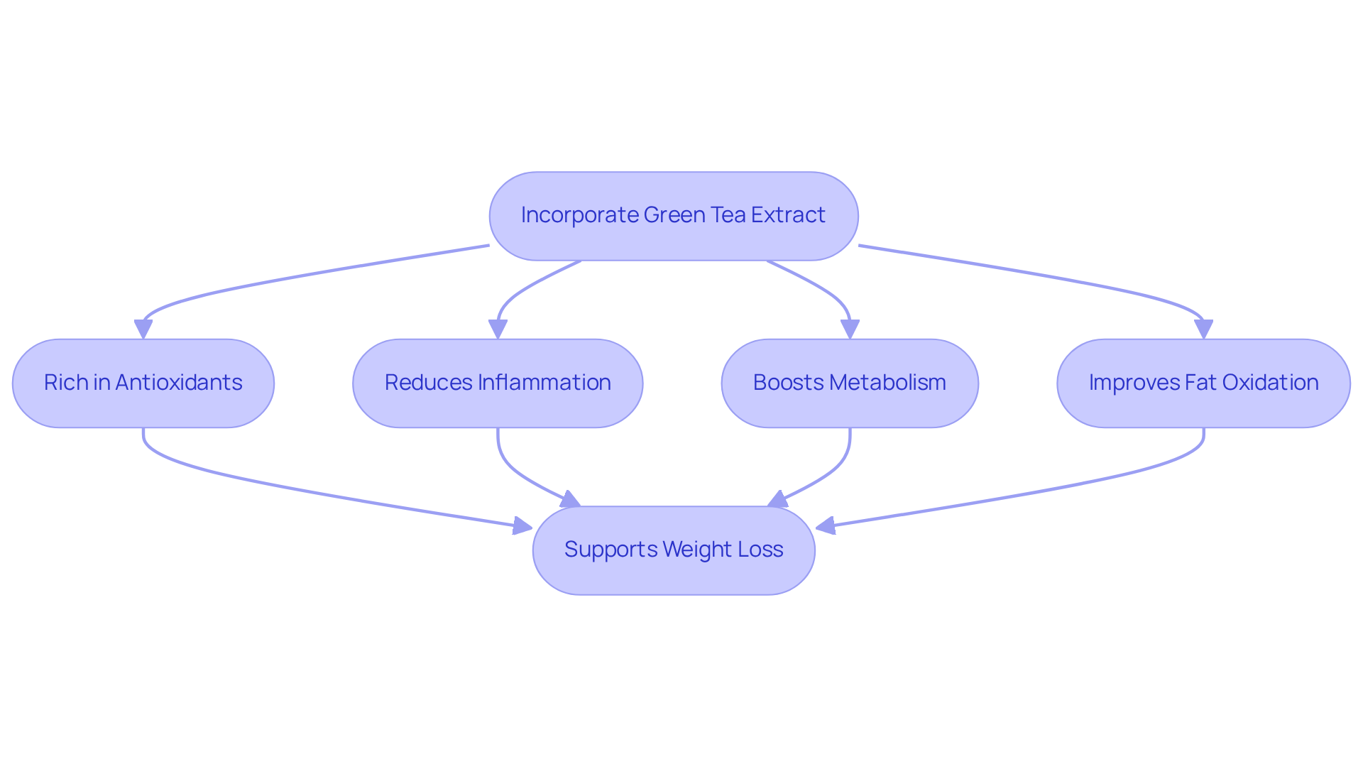 Follow the arrows from the starting point to see how incorporating green tea extract can lead to various benefits that support your weight loss journey.