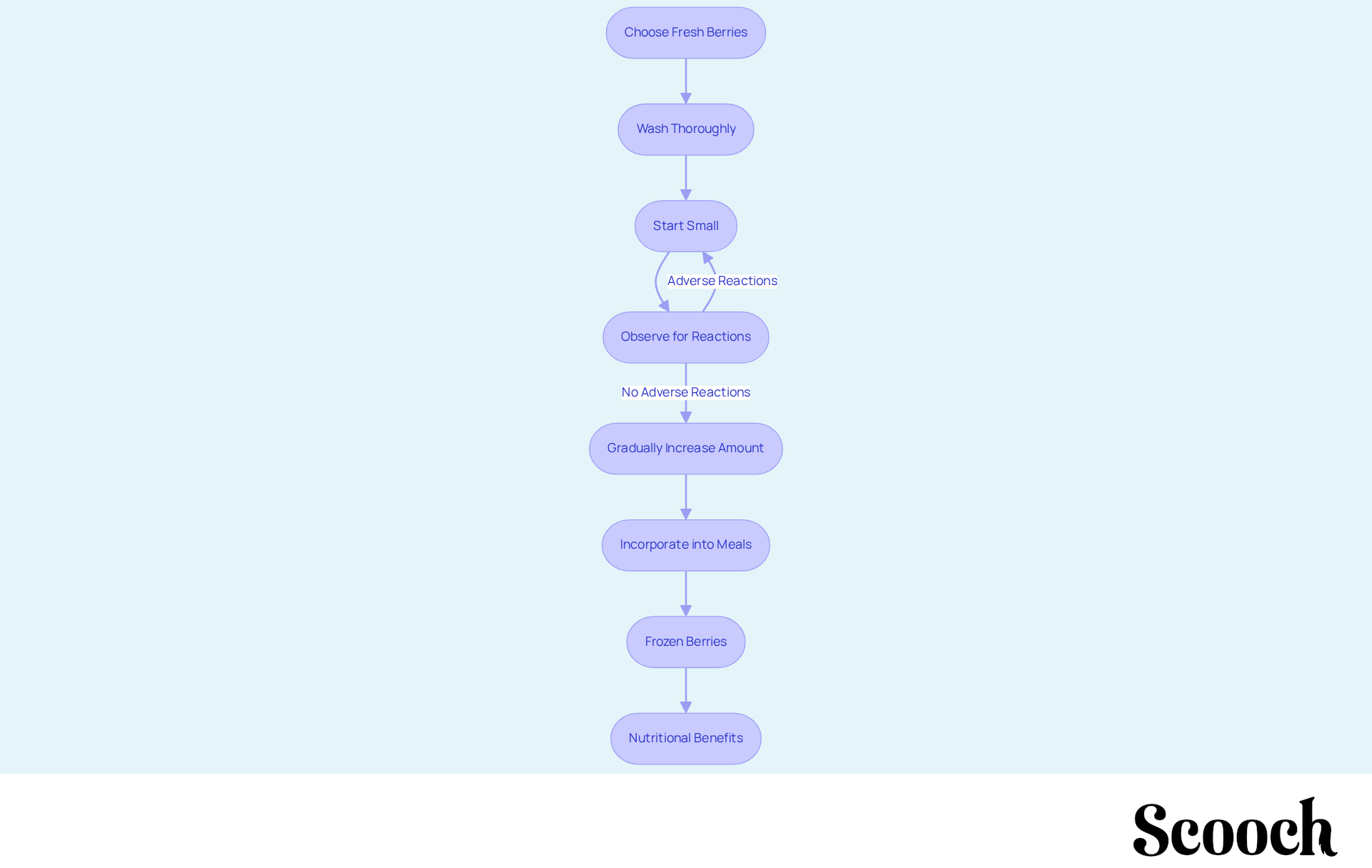 Follow the arrows from one step to the next to see how to safely introduce raspberries to your furry friend. Each box represents an important part of the process. Follow the arrows from one step to the next to see how to safely introduce raspberries to your furry friend. Each box represents an important part of the process.