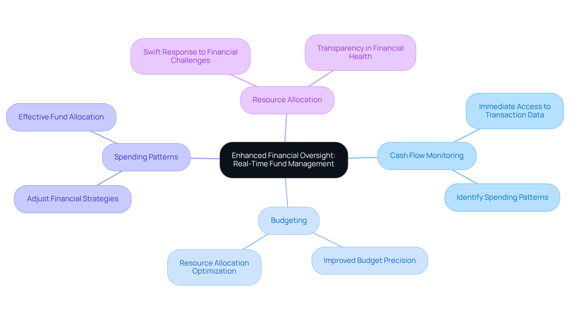 The central node represents the main theme of financial oversight. Each branch shows a key area of focus, and the sub-branches provide more details or examples related to that area. This structure helps you understand how different aspects of real-time fund management connect and contribute to overall financial health.