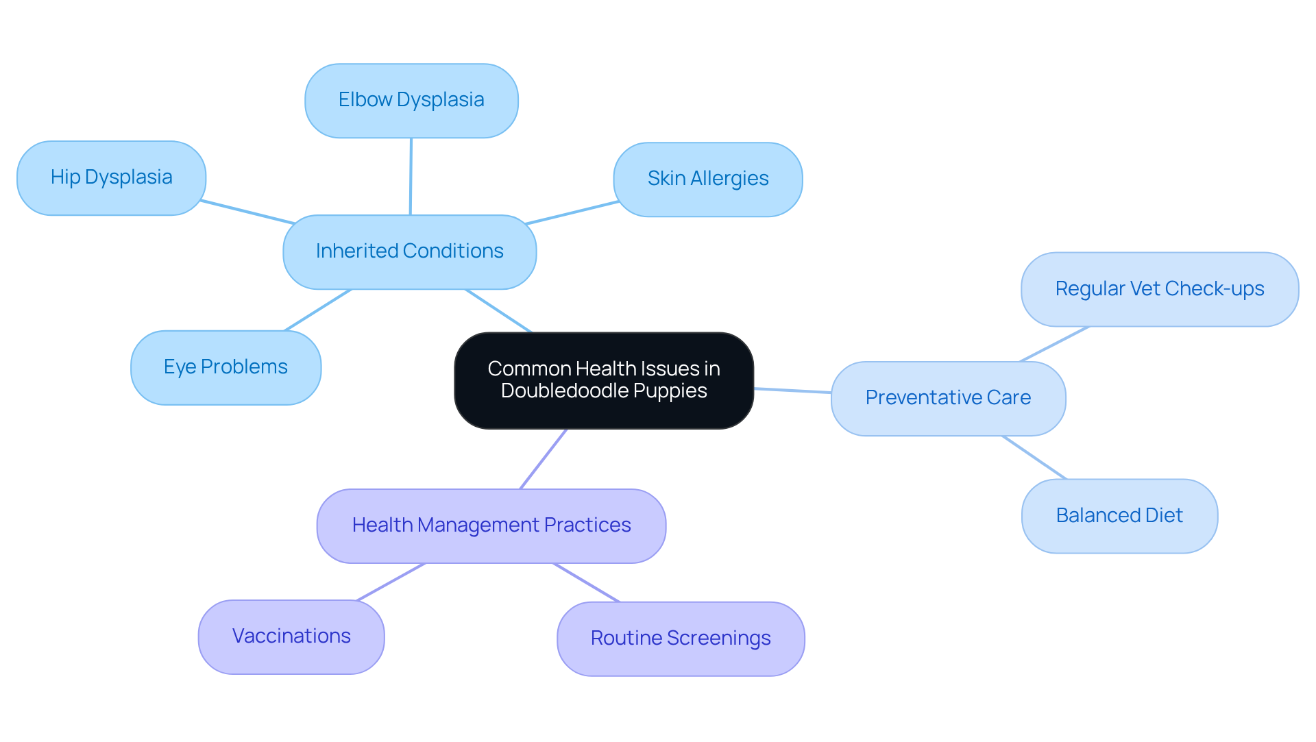 The central node represents the overall topic, while the branches show specific health concerns and management strategies. Each color-coded branch helps you quickly identify related topics, making it easier to understand how to care for your Doubledoodle.