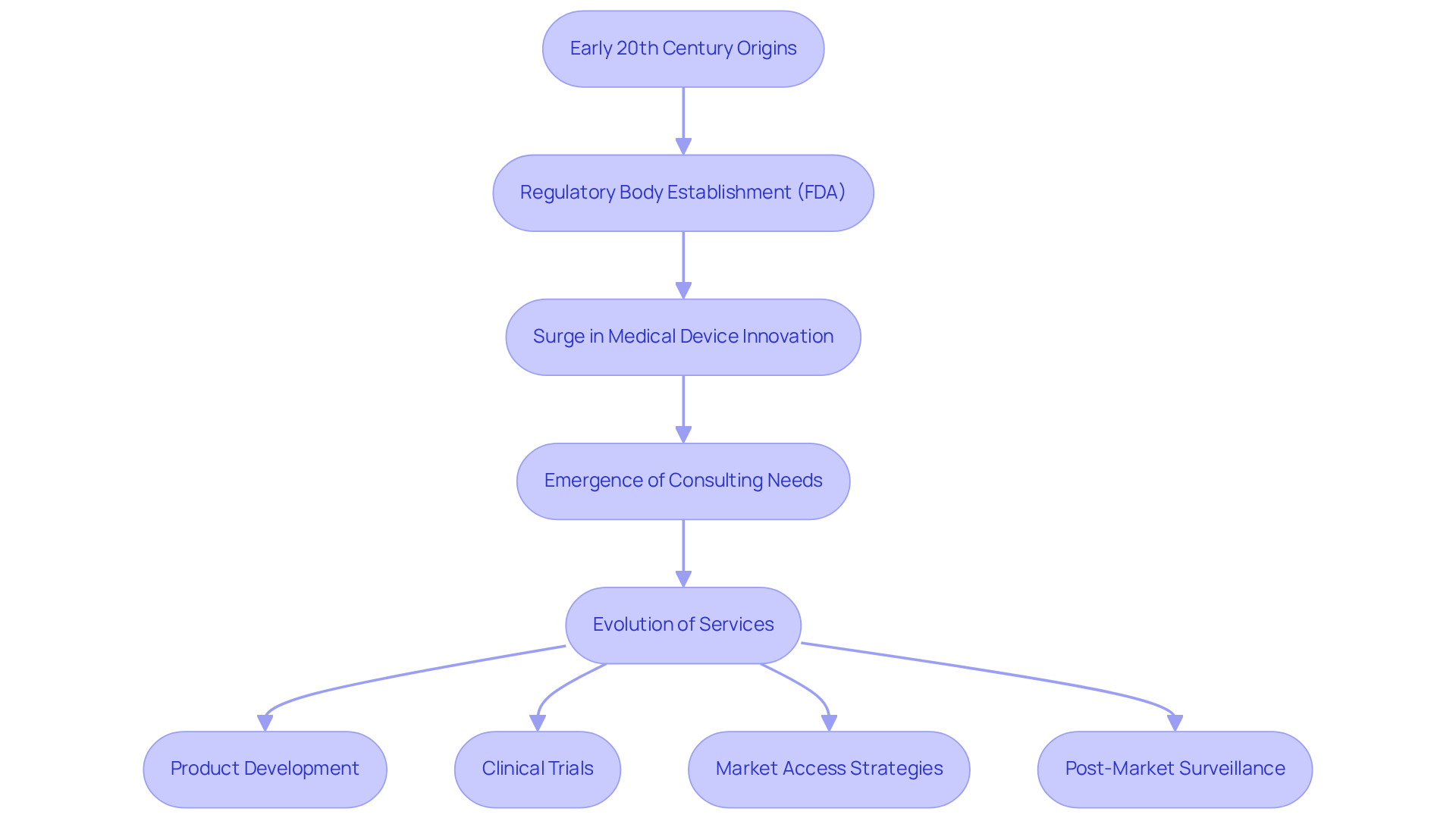 Each box represents a significant milestone or service in the journey of medical technology consulting. Follow the arrows to understand how this field has developed over the years. Each box represents a significant milestone or service in the journey of medical technology consulting. Follow the arrows to understand how this field has developed over the years.