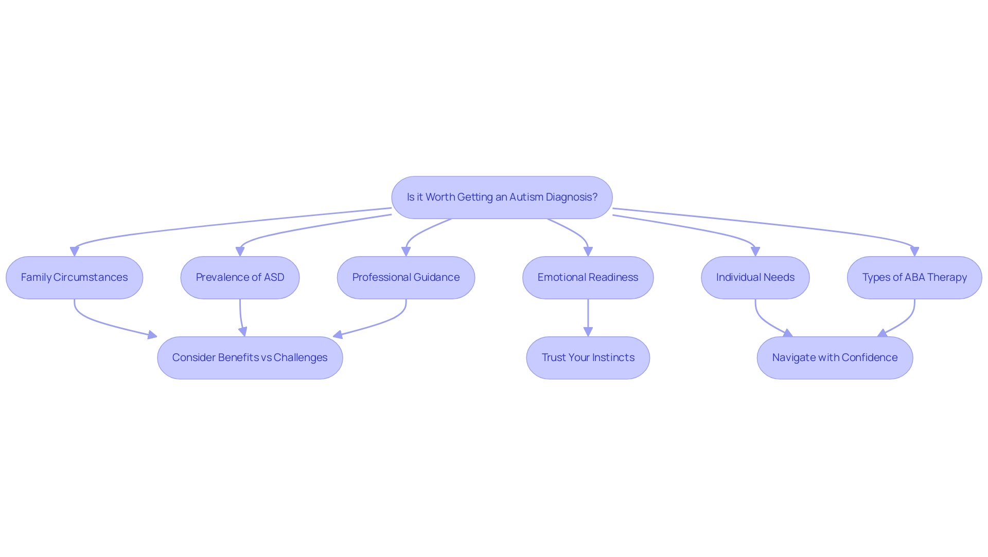 Each box represents a key consideration in the decision-making process, with arrows indicating the flow from one consideration to another.