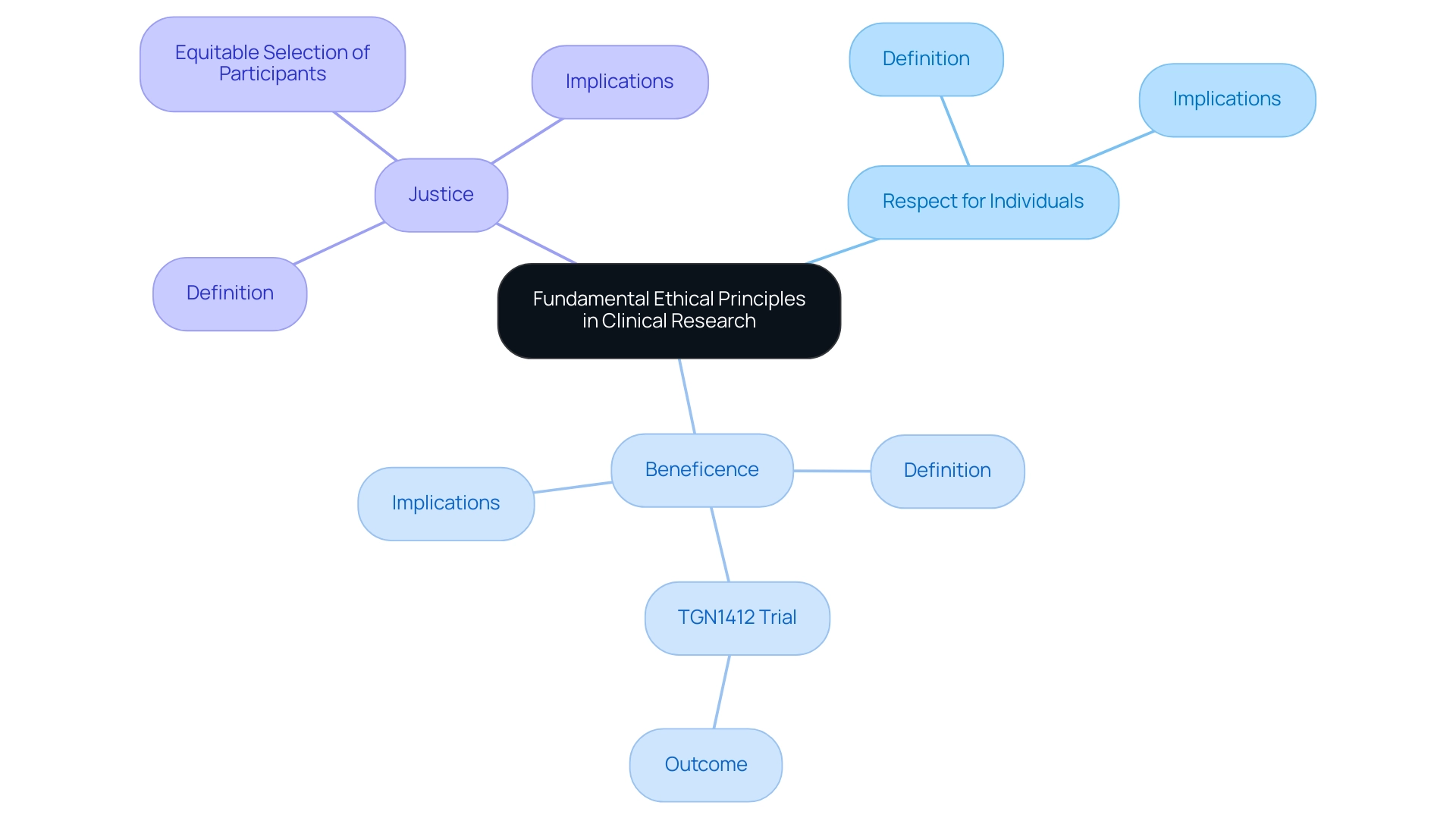 Each branch represents a fundamental ethical principle, with sub-branches detailing definitions, implications, and relevant case studies.