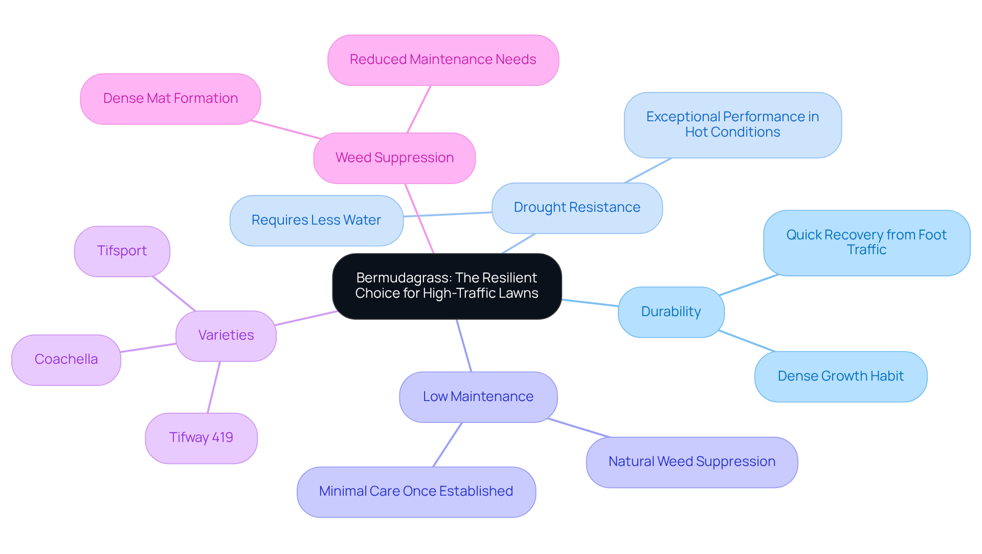 The center represents Bermudagrass, and each branch shows a key benefit or characteristic. Follow the branches to explore how Bermudagrass excels in high-traffic areas.