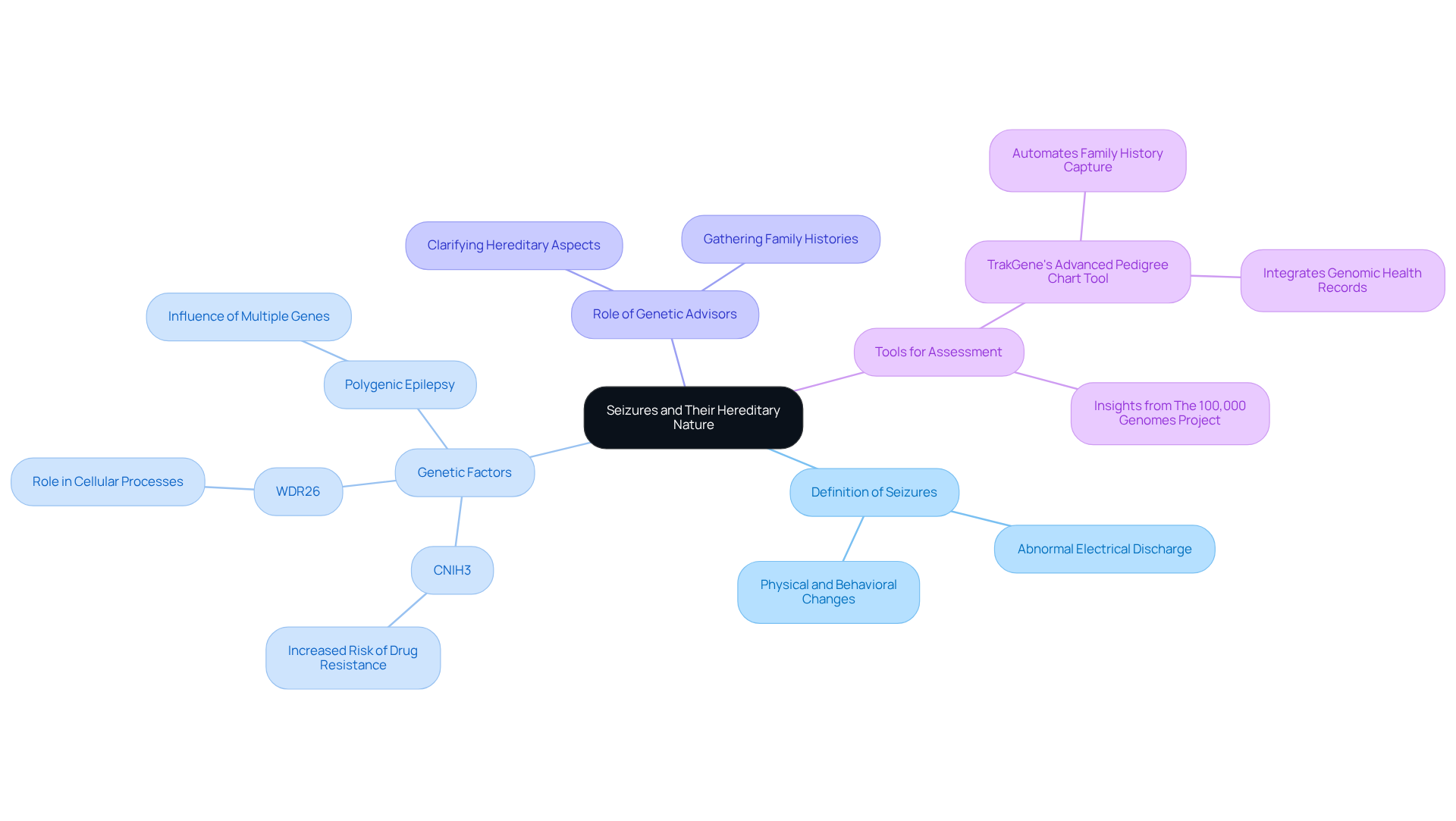 The central node represents the main topic, while the branches show related aspects. Each color-coded branch helps you navigate through the different elements of hereditary seizures and their implications.