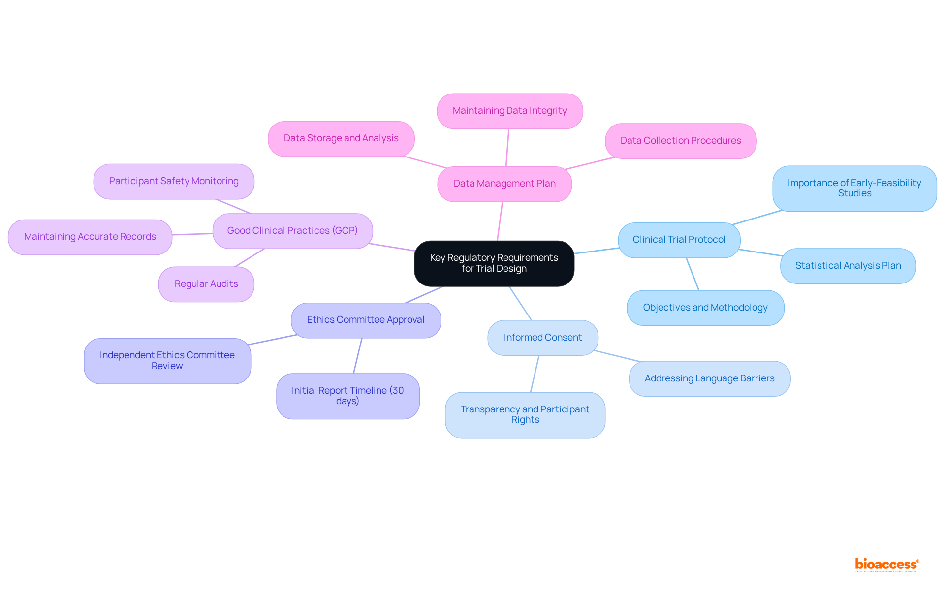 The center represents the main theme, and the branches illustrate the essential components involved in ensuring compliance with ANVISA regulations. Each branch leads to specific actions or considerations relevant to that component.