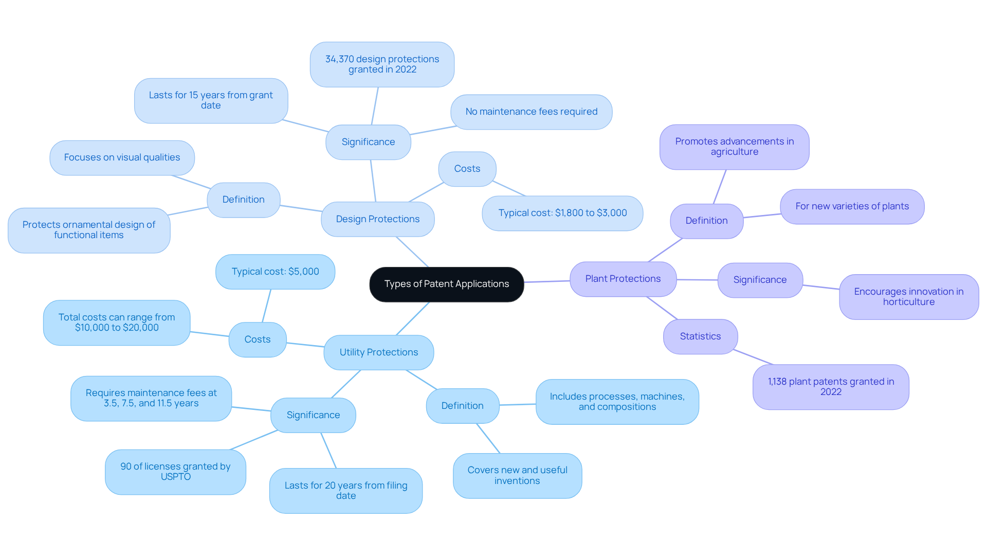 The central node represents the main topic of patent applications, while the branches show the different types of protections available. Each branch contains important details about that type, helping you understand their unique roles in intellectual property.