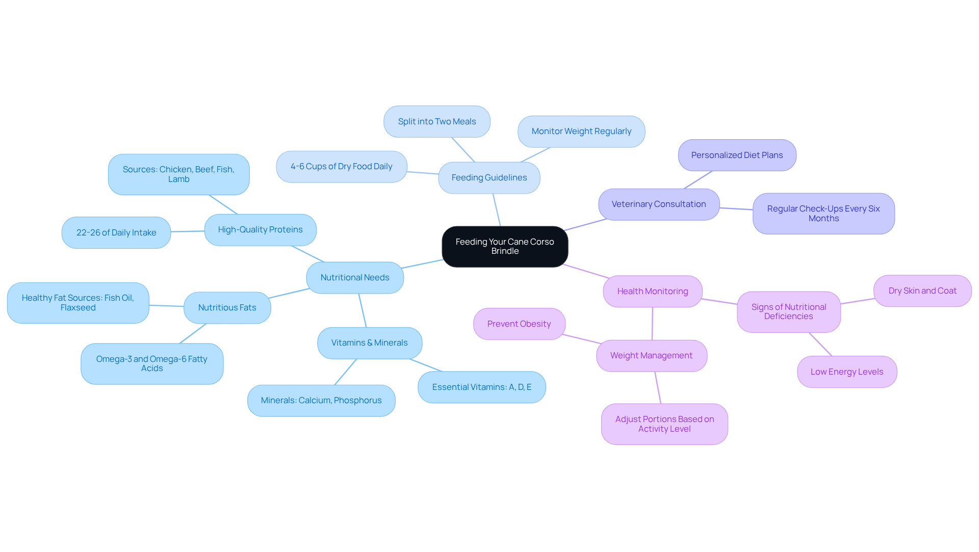 Start at the center with the main topic and follow the branches to explore each aspect of your Cane Corso's nutrition, from specific dietary requirements to important health checks.