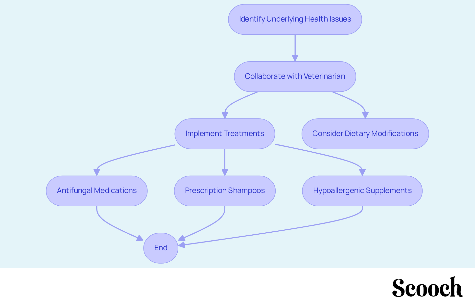 Follow the arrows to see how to manage yeast infections in dogs. Start by identifying health issues, then work with your vet to choose the right treatments and dietary changes for your furry friend.