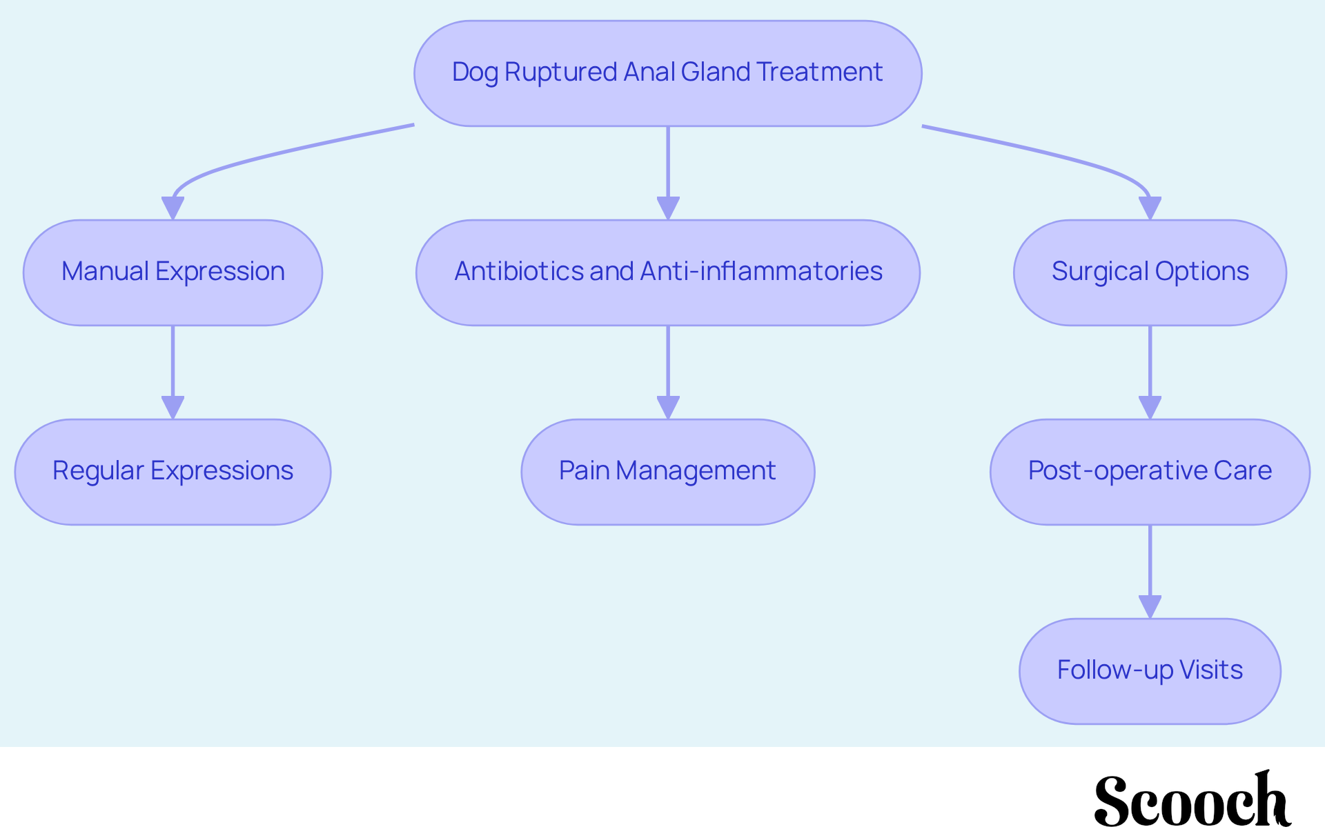 This flowchart guides you through the treatment journey for dogs with ruptured anal glands. Follow the arrows to see each option and what it involves — from simple manual expressions to more complex surgical solutions. This flowchart guides you through the treatment journey for dogs with ruptured anal glands. Follow the arrows to see each option and what it involves — from simple manual expressions to more complex surgical solutions.