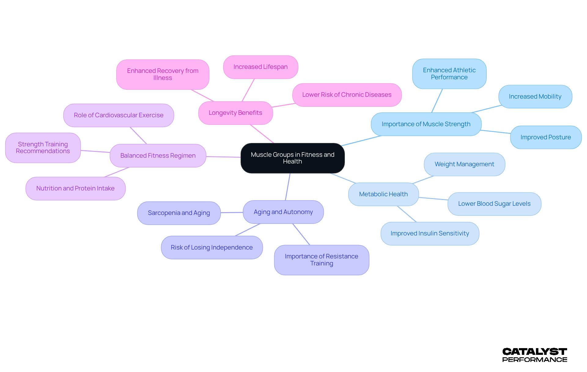 The central node represents the main topic, while the branches show how different aspects of muscle groups contribute to overall health and fitness. Follow the branches to explore each area and its significance.