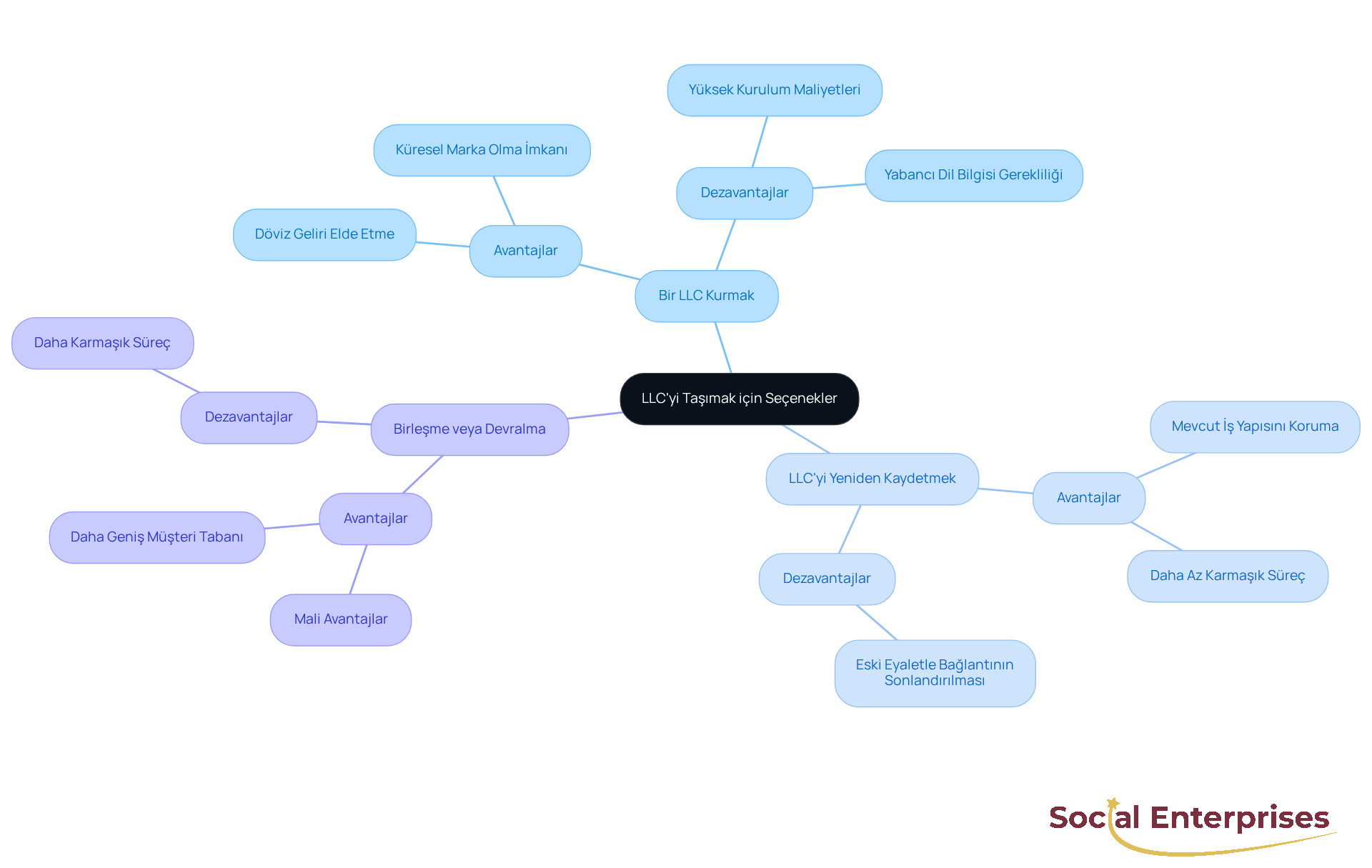 Orta kısımda LLC'yi taşımak için genel başlık var. Dallar, her bir stratejiyi temsil ediyor ve altında avantajlar ve dezavantajlar yer alıyor. Renkler, her seçeneğin ayrı olduğunu vurguluyor ve okurların hangi stratejinin hangi yönlerini değerlendirebileceğini anlamasına yardımcı oluyor.