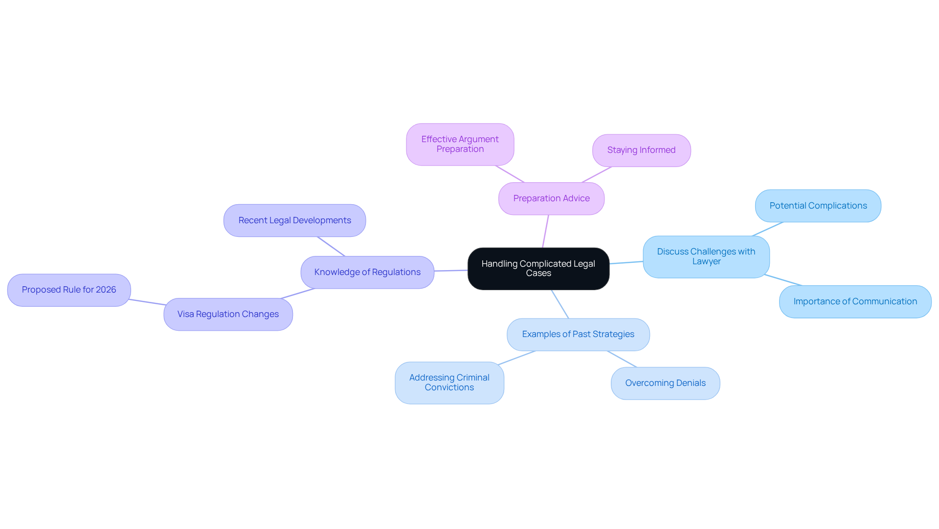 Start at the center with the main topic, then explore each branch to see important areas to discuss with your lawyer. Each branch represents a different aspect of managing your case effectively.