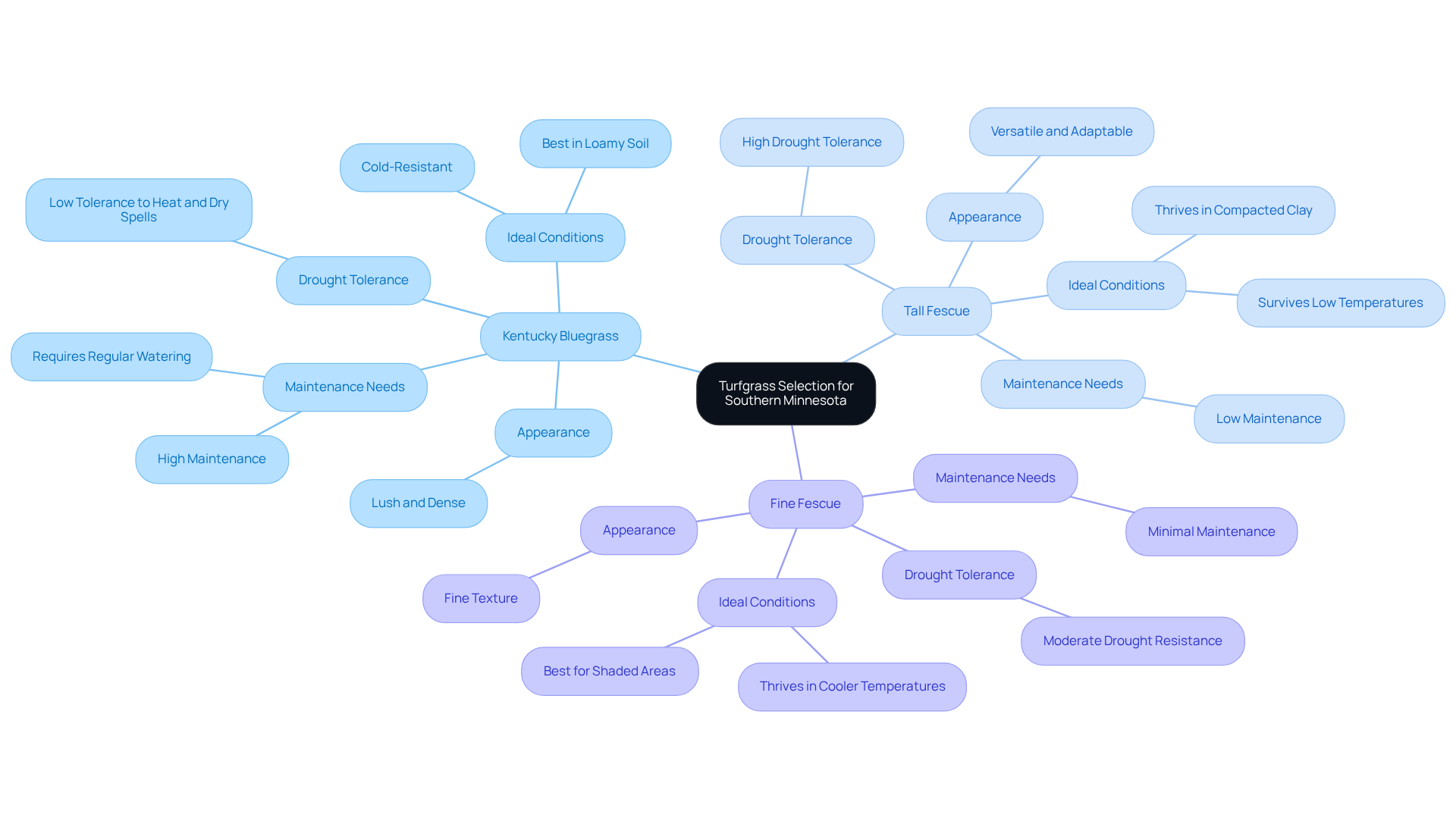 The central node represents the overall topic of turfgrass selection. Each branch shows a different type of grass, with sub-branches providing details about its characteristics and care requirements. This layout helps you quickly see which grass might be best for your lawn.