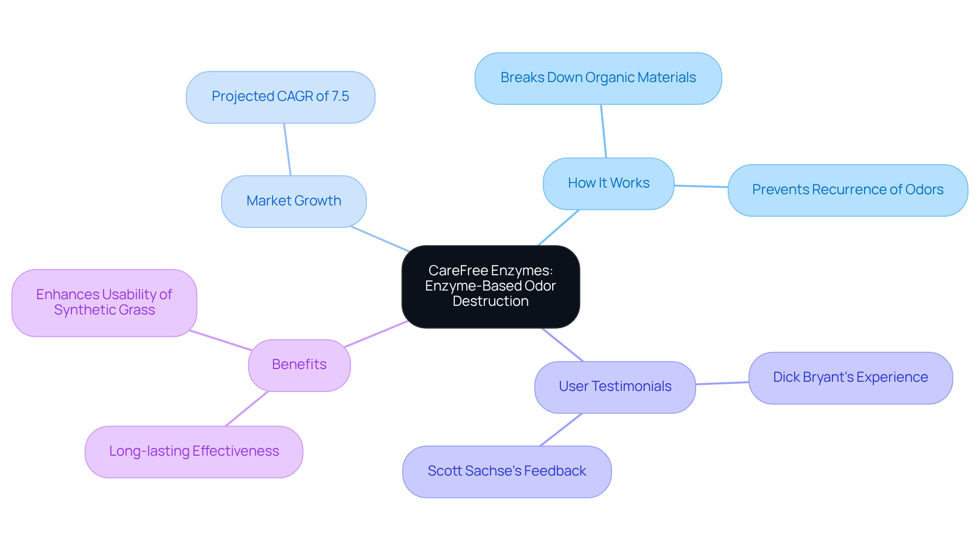 The center shows the main topic, and the branches represent different aspects of CareFree Enzymes, including how they work, market trends, and what users are saying about them.
