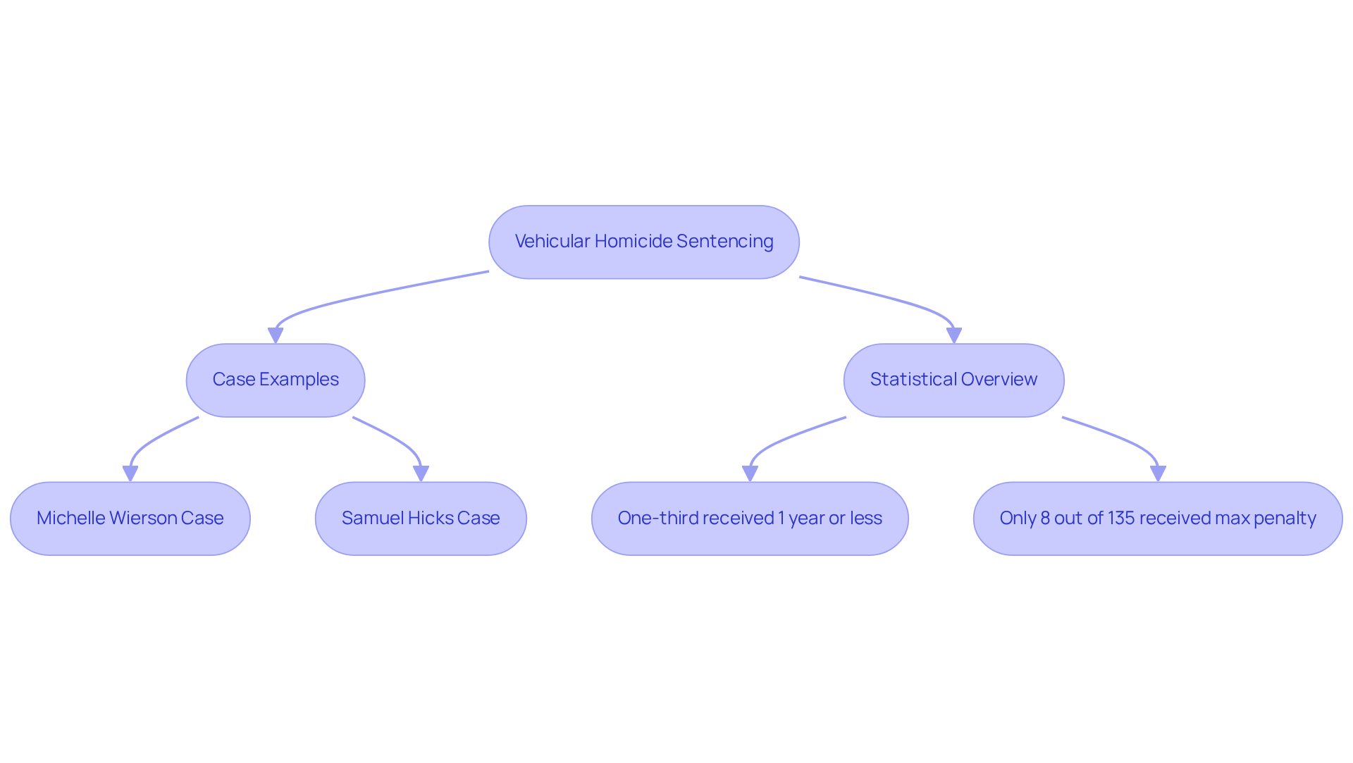This flowchart illustrates how different factors influence the sentencing of vehicular homicide cases. Follow the paths to see how individual cases and statistics reveal the complexities and disparities in legal outcomes.