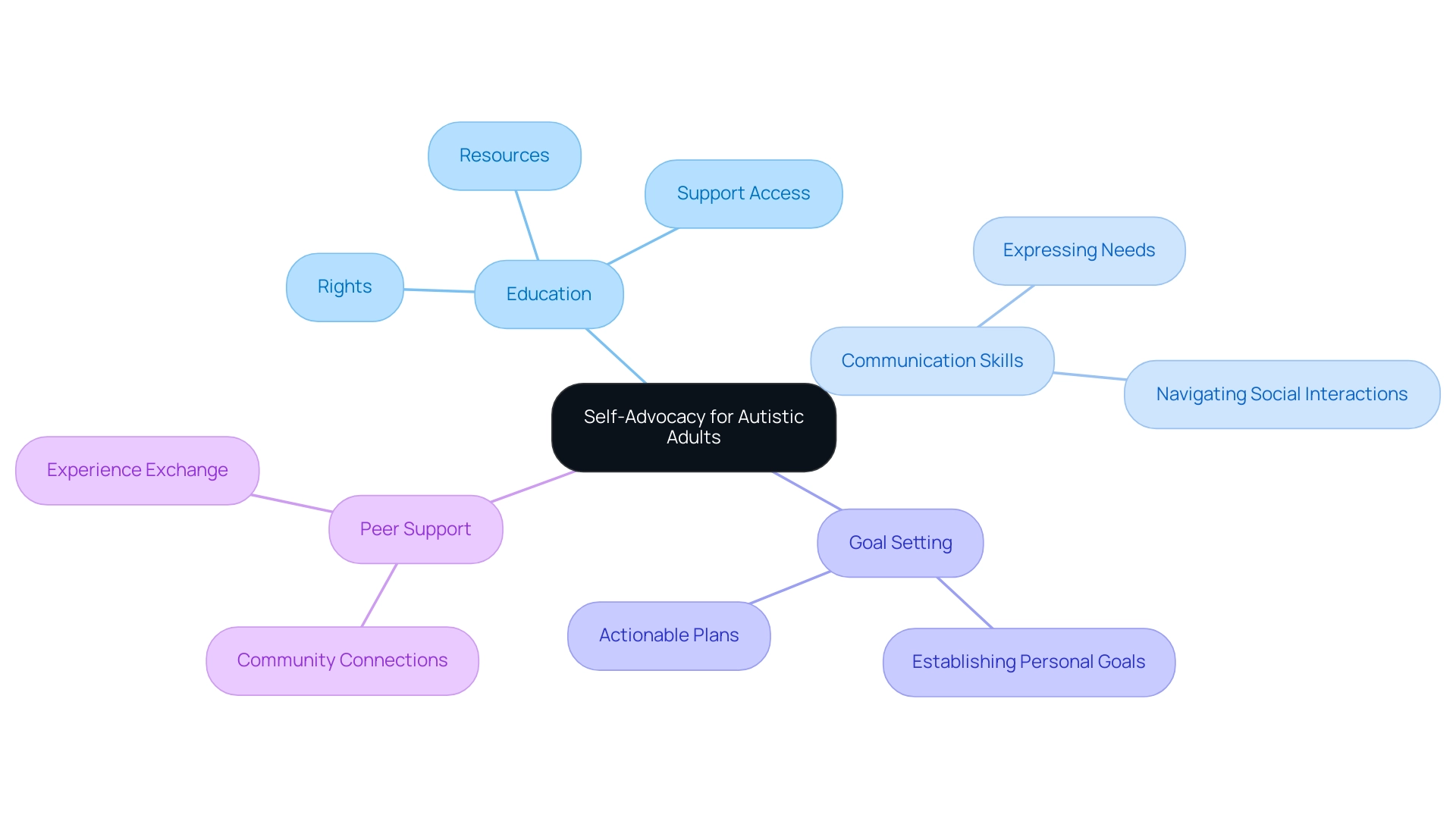 The central node represents self-advocacy, while the branches represent key strategies that support it. Each color corresponds to a different strategy.