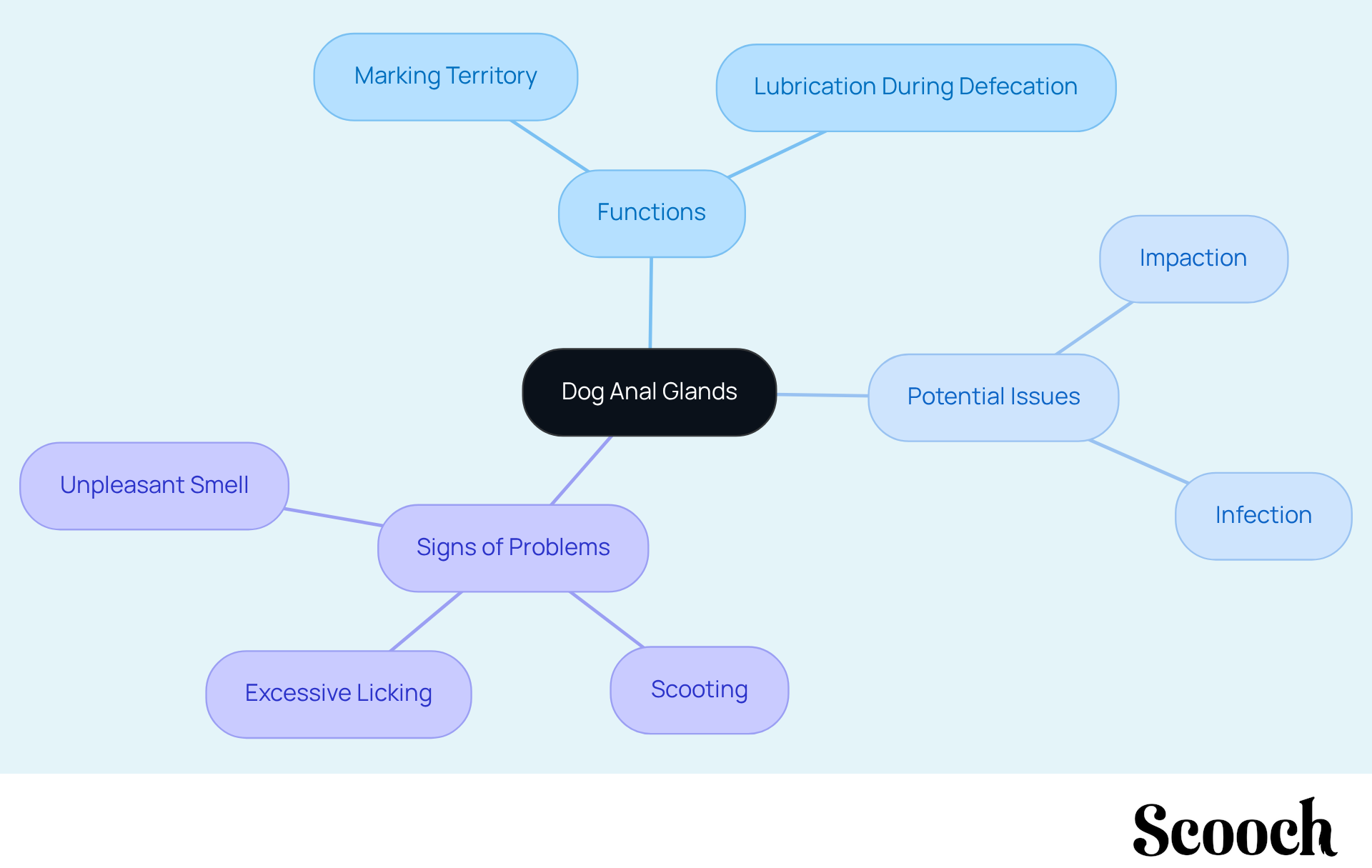 The central node represents the main topic, while the branches show related functions, issues, and signs. Each color-coded branch helps you quickly identify different aspects of dog anal glands and their importance. The central node represents the main topic, while the branches show related functions, issues, and signs. Each color-coded branch helps you quickly identify different aspects of dog anal glands and their importance.