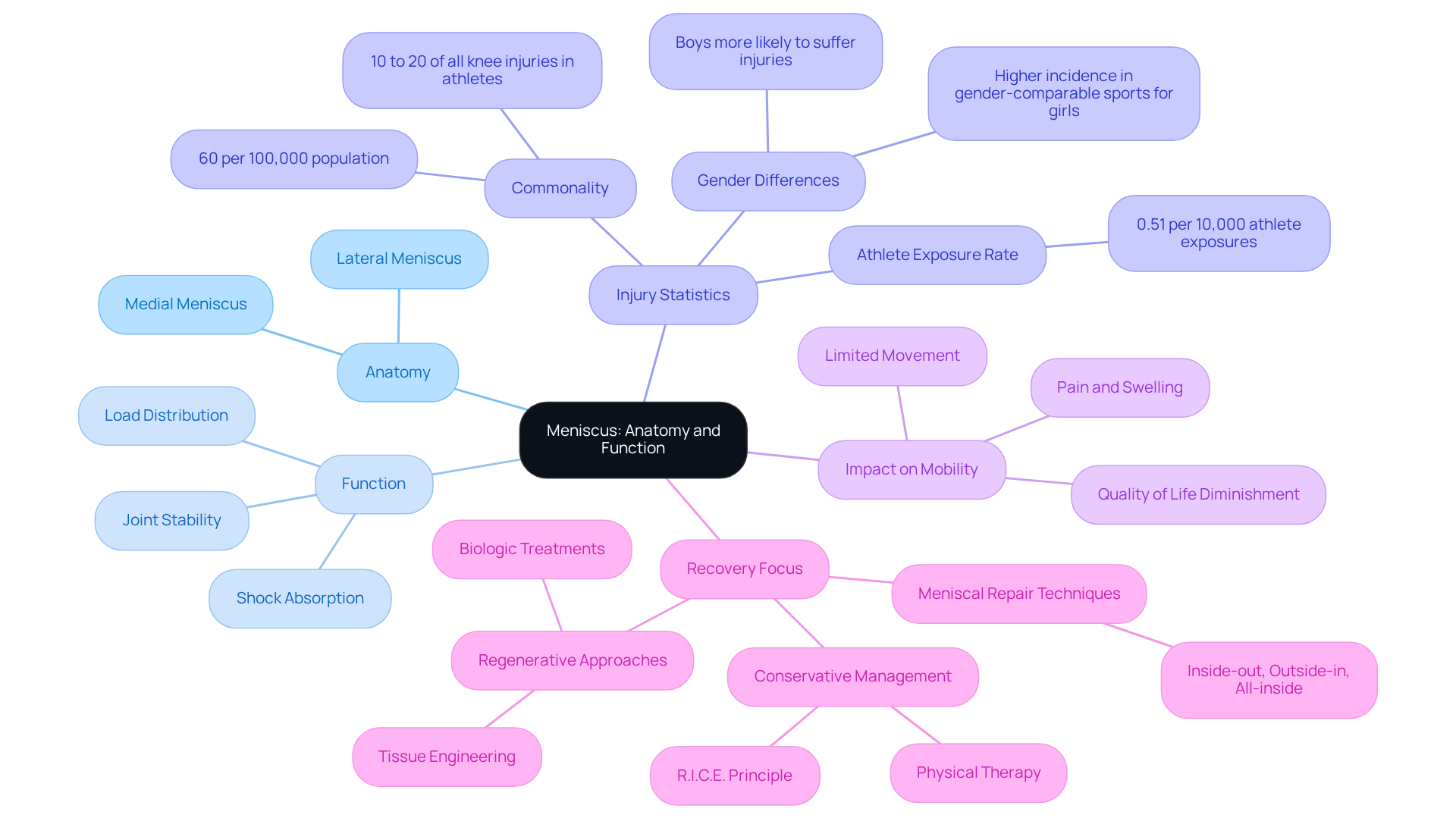 This mindmap starts with the meniscus at the center, branching out to show its anatomy, functions, injury statistics, and recovery focus. Each branch represents a different aspect of the meniscus, helping you see how they all connect and why understanding this structure is important for knee health.