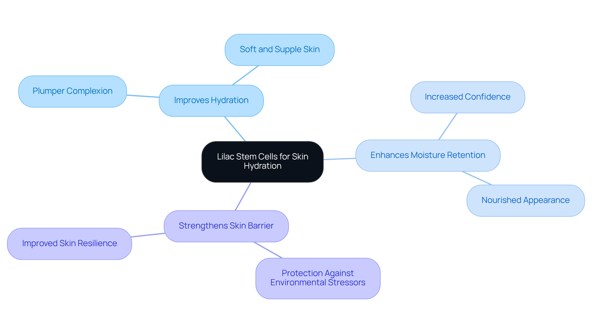 This mindmap shows how lilac stem cells can improve your skin. Start at the center with the main idea, then follow the branches to see how they help with hydration, moisture retention, and overall skin health. Each branch leads to positive outcomes, making it easy to understand the benefits. This mindmap shows how lilac stem cells can improve your skin. Start at the center with the main idea, then follow the branches to see how they help with hydration, moisture retention, and overall skin health. Each branch leads to positive outcomes, making it easy to understand the benefits.