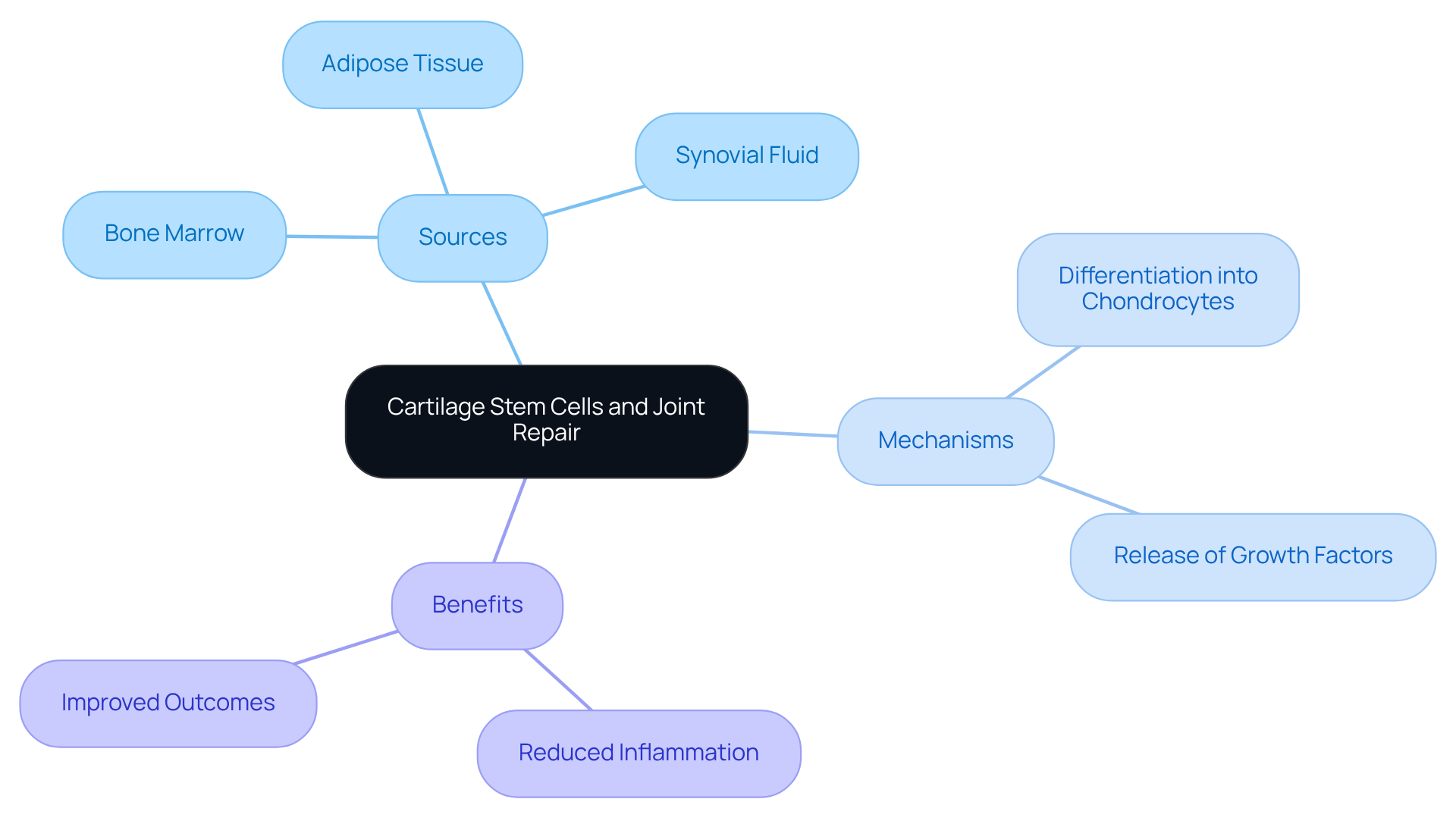 The central node represents the main topic, while the branches show different aspects of cartilage stem cells. Each color-coded branch helps you see how sources, mechanisms, and benefits are interconnected.