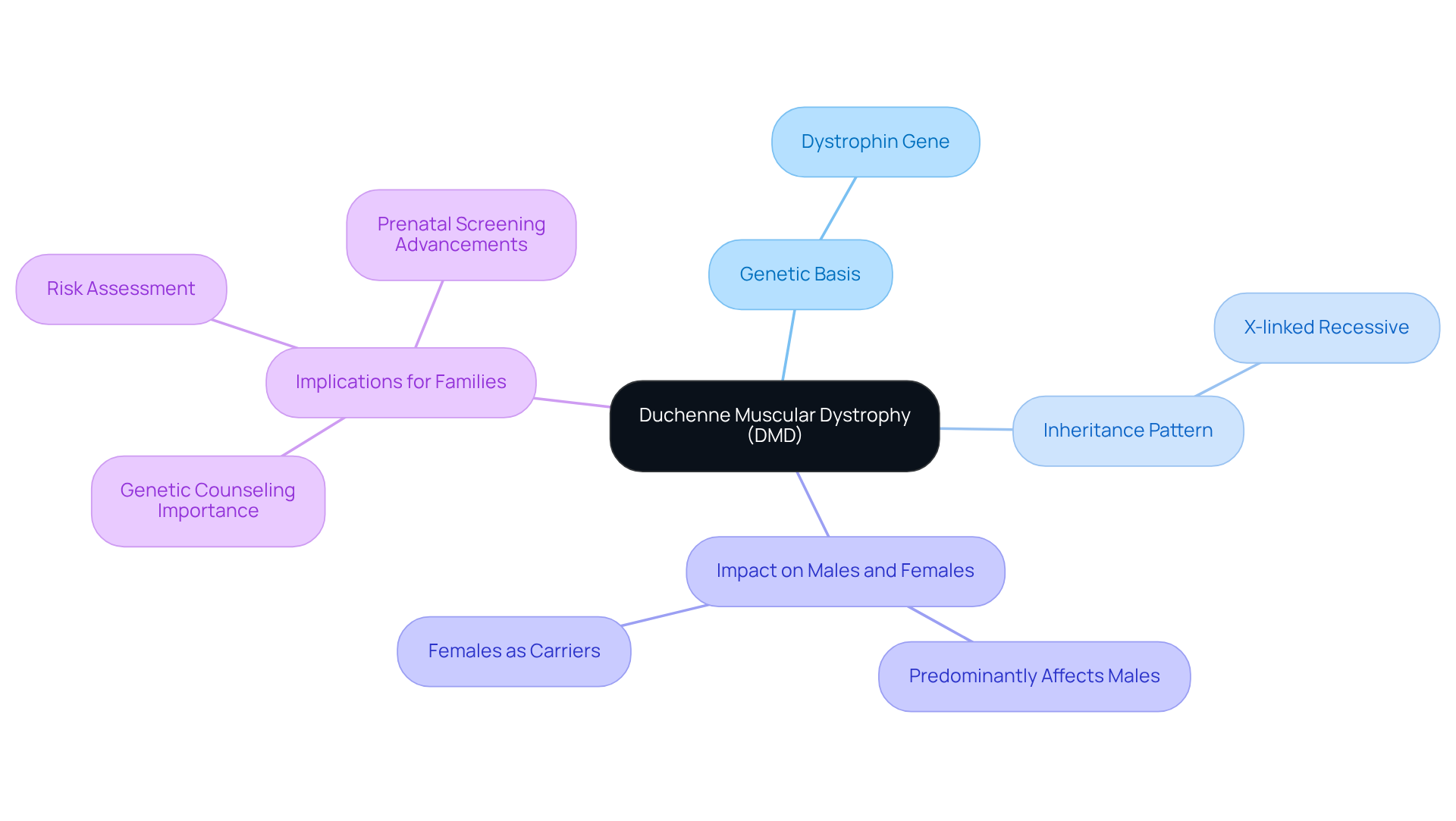 The central node represents DMD, with branches showing its genetic basis, how it is inherited, and its effects on different genders. Each branch helps you see how these concepts connect and what they mean for families.