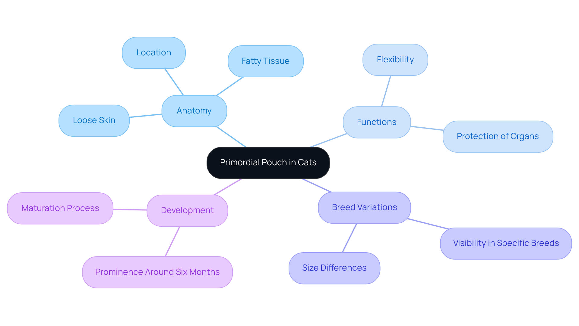 Start at the center with the primordial pouch concept, then explore its anatomy, functions, variations among breeds, and how it develops over time. Start at the center with the primordial pouch concept, then explore its anatomy, functions, variations among breeds, and how it develops over time.