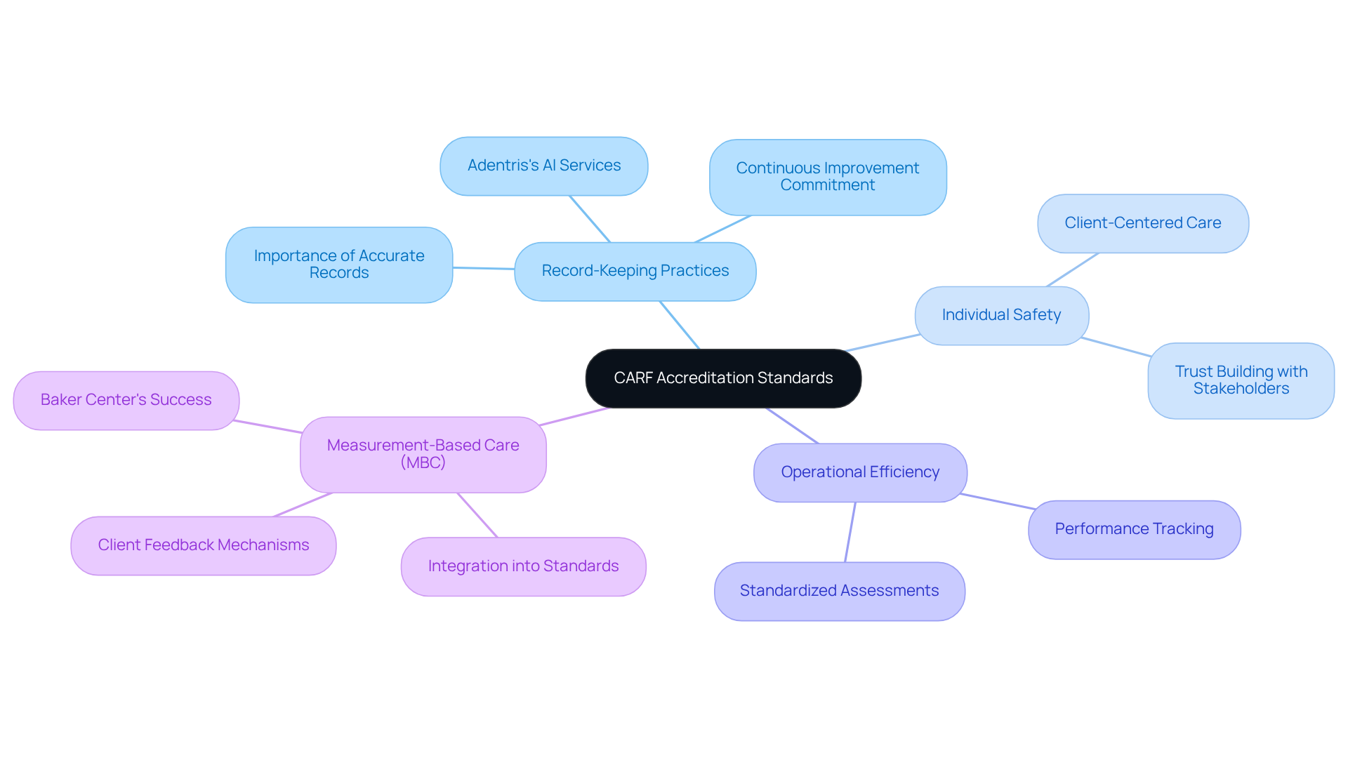 The central node represents CARF standards, while the branches show critical areas of focus and examples of organizations successfully implementing these standards. Follow the branches to understand how each area contributes to achieving accreditation.