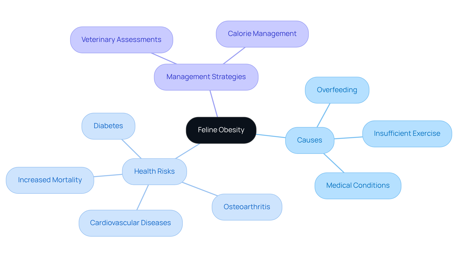 This mindmap starts with the central issue of feline obesity and explores its causes, health risks, and ways to manage it. Each branch represents a key area, with sub-branches providing specific details, helping you to grasp the full picture of how to care for our cats.