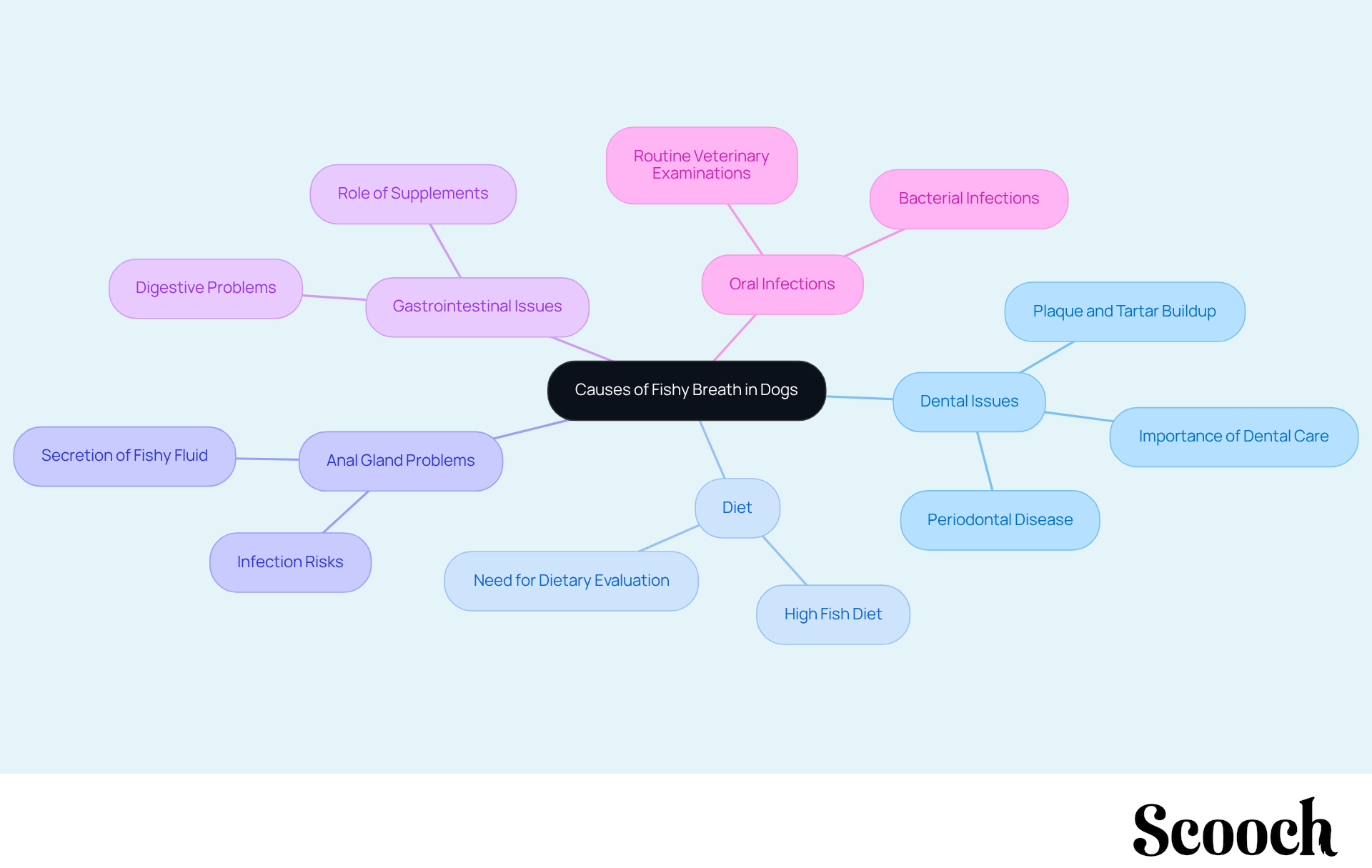 The center of the mindmap shows the main issue of fishy breath, while the branches represent different causes. Each cause has its own details that explain why it might lead to fishy breath, helping you understand how to care for your dog better.