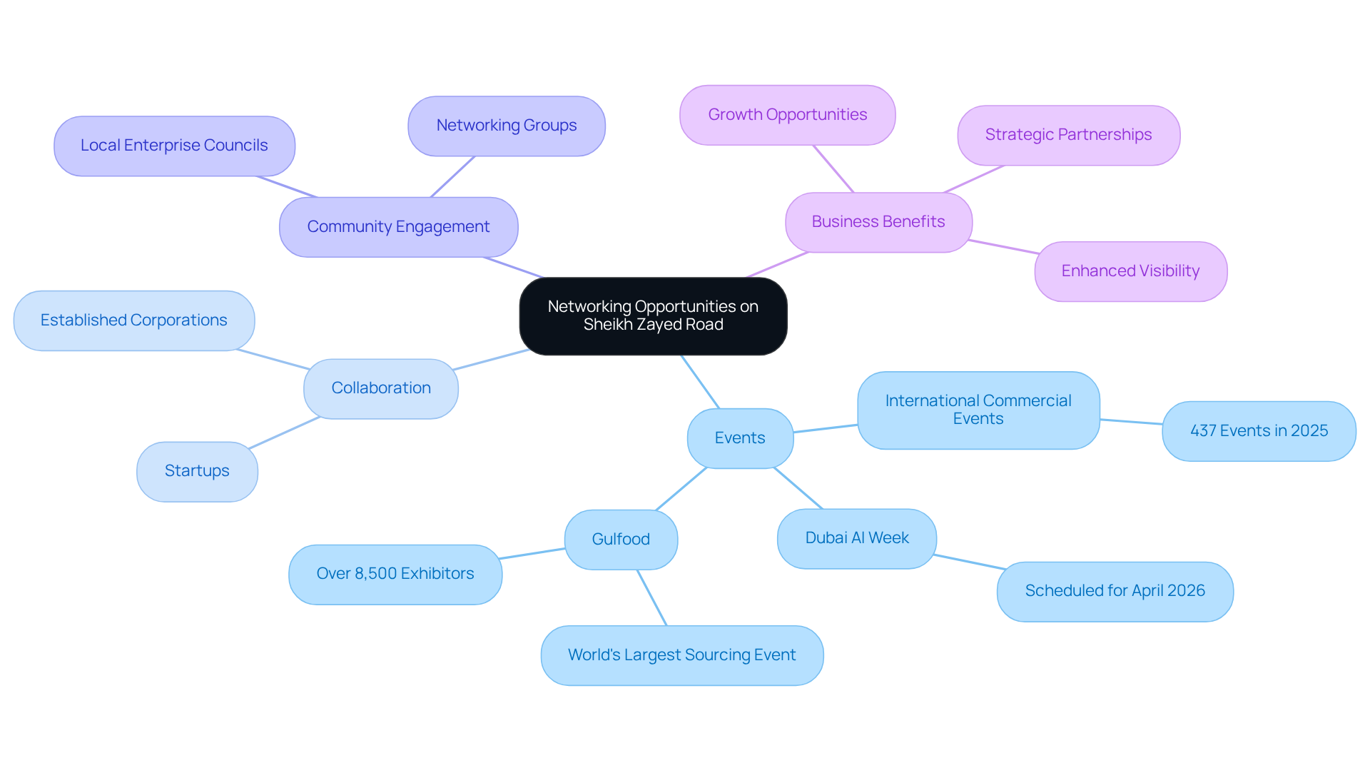The center represents the main theme of networking opportunities, with branches showing related topics and subtopics. Each branch highlights different aspects of how businesses can engage and benefit from the vibrant environment on Sheikh Zayed Road.