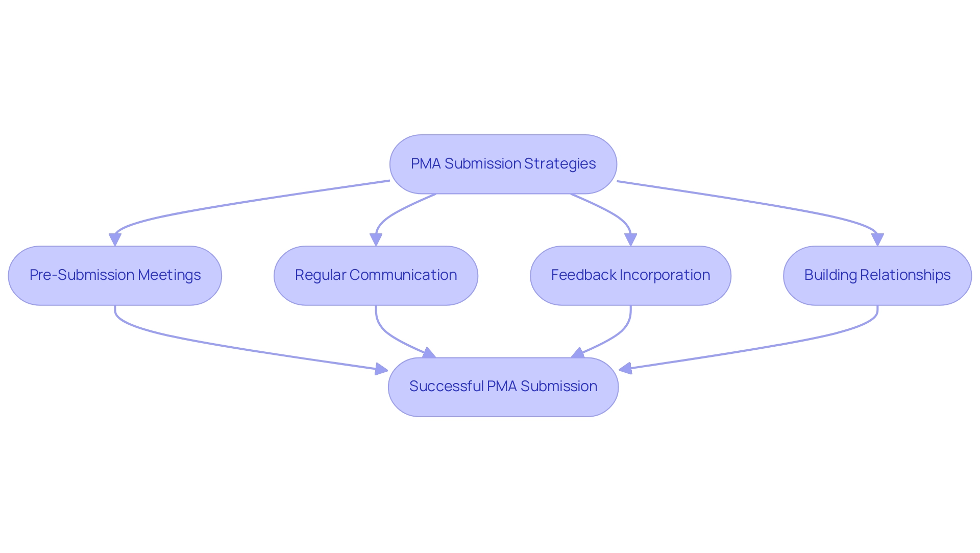 Each box in the flowchart represents a strategy for PMA submissions, with arrows indicating the flow and connection between these strategies leading to a successful outcome.