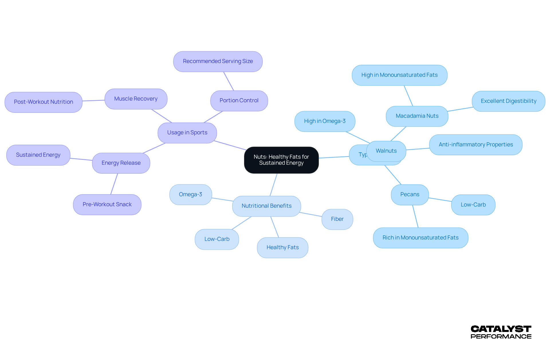 The central idea is about nuts and their role in providing energy. Each branch shows different types of nuts and their unique benefits, helping you understand how they contribute to better performance and health.