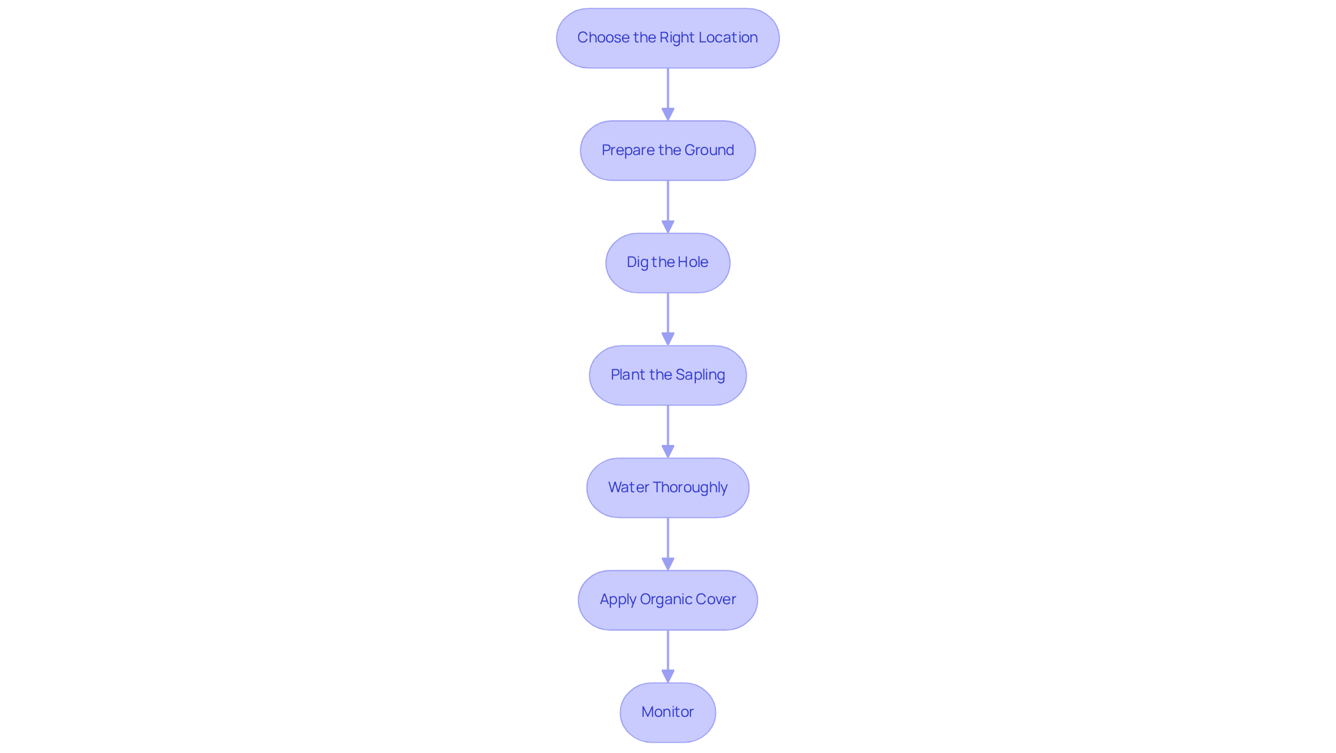 Each box represents a step in the planting process. Follow the arrows to see the sequence in which you should complete each task for successful planting.