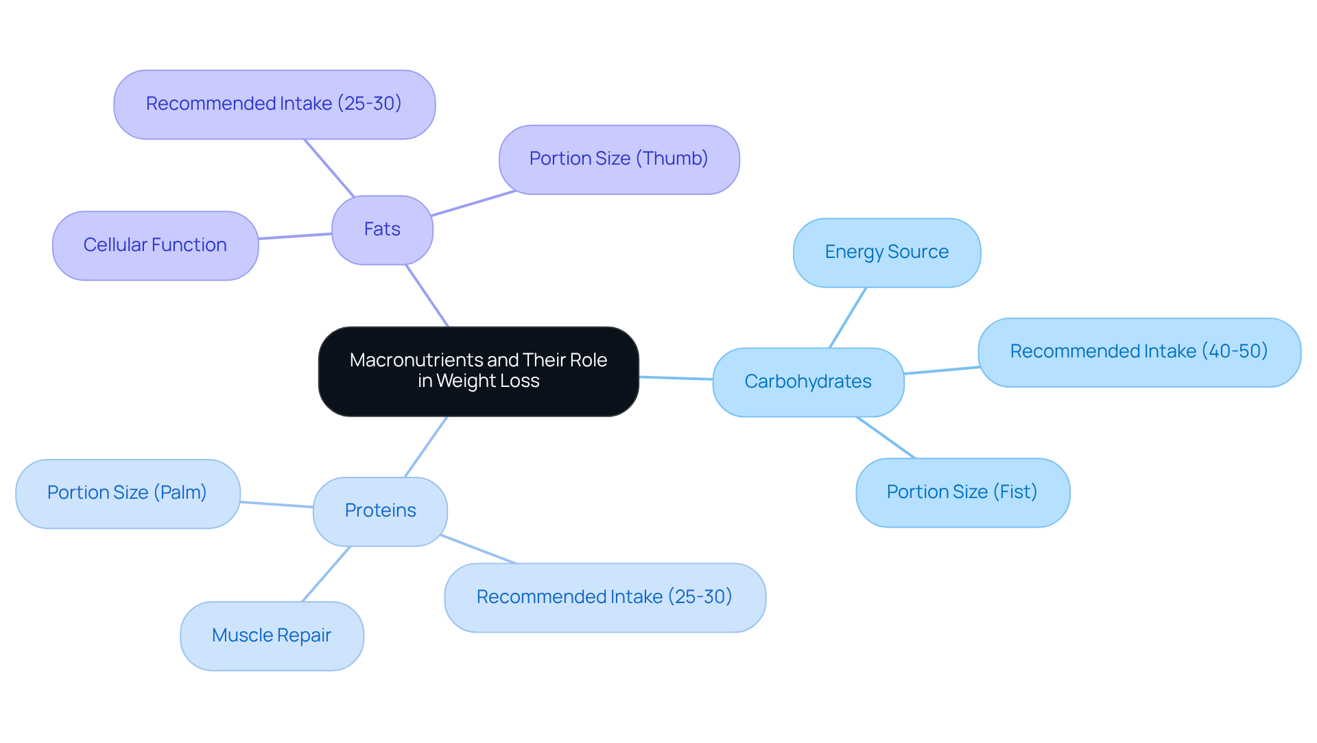 This mindmap shows the three main types of macronutrients and their roles in weight loss. Each branch represents a nutrient, and the sub-branches explain how they contribute to your health. Follow the branches to see how balancing these nutrients can help you achieve your weight loss goals.