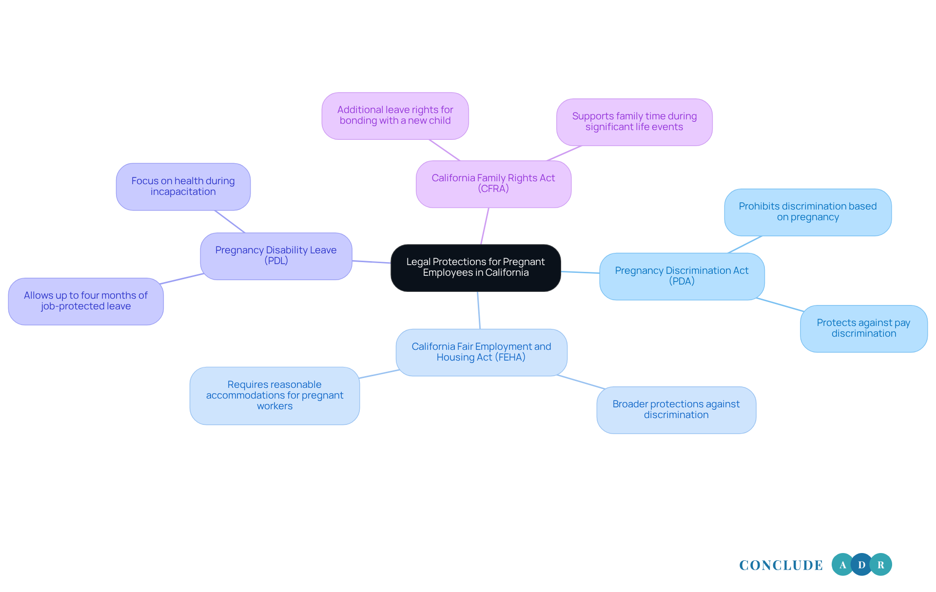 The central node represents the overall theme of legal protections, while each branch details a specific law. The sub-branches provide key points about each law, helping you understand your rights and protections. The central node represents the overall theme of legal protections, while each branch details a specific law. The sub-branches provide key points about each law, helping you understand your rights and protections.