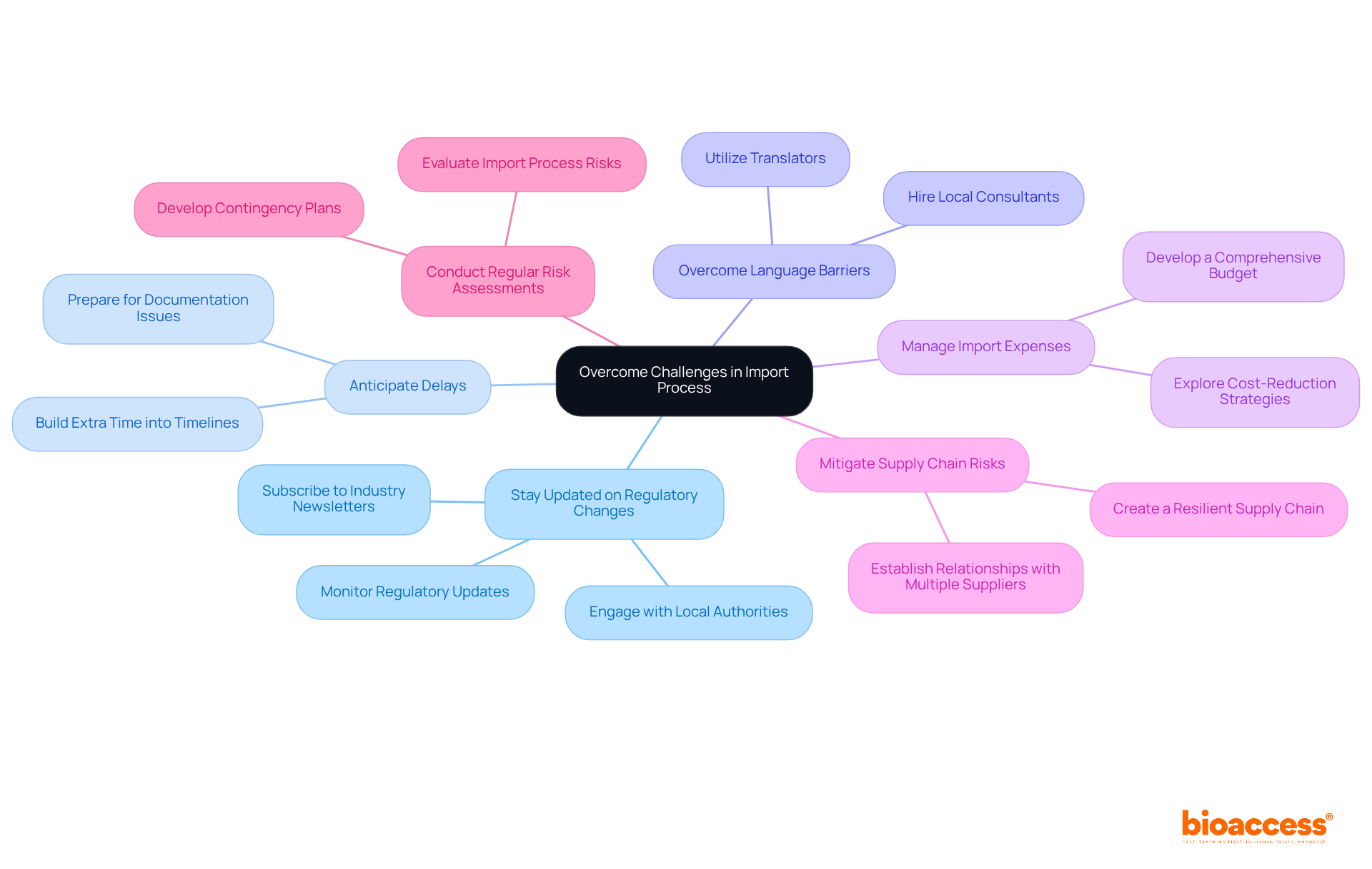 The central node represents the main goal of overcoming import challenges, while each branch shows a specific strategy. Follow the branches to see detailed actions that can help navigate the complexities of the import process.