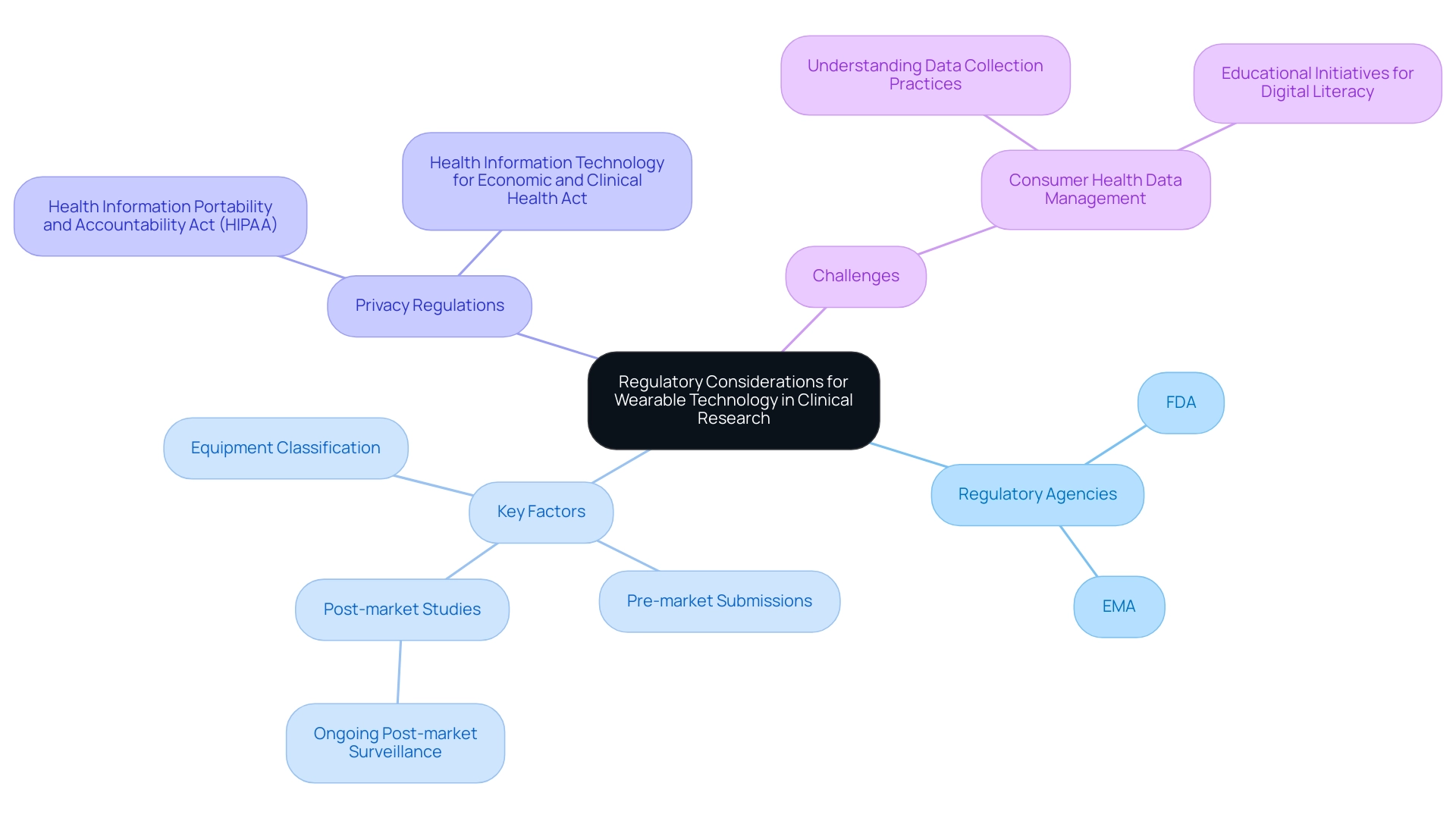 The central node represents the overall topic, with branches indicating major categories related to regulatory considerations and their subcomponents.