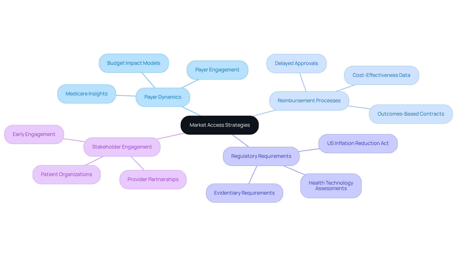 Start at the center with the main topic of market access. Follow the branches to explore key factors that contribute to successful strategies, and see how they relate to each other.