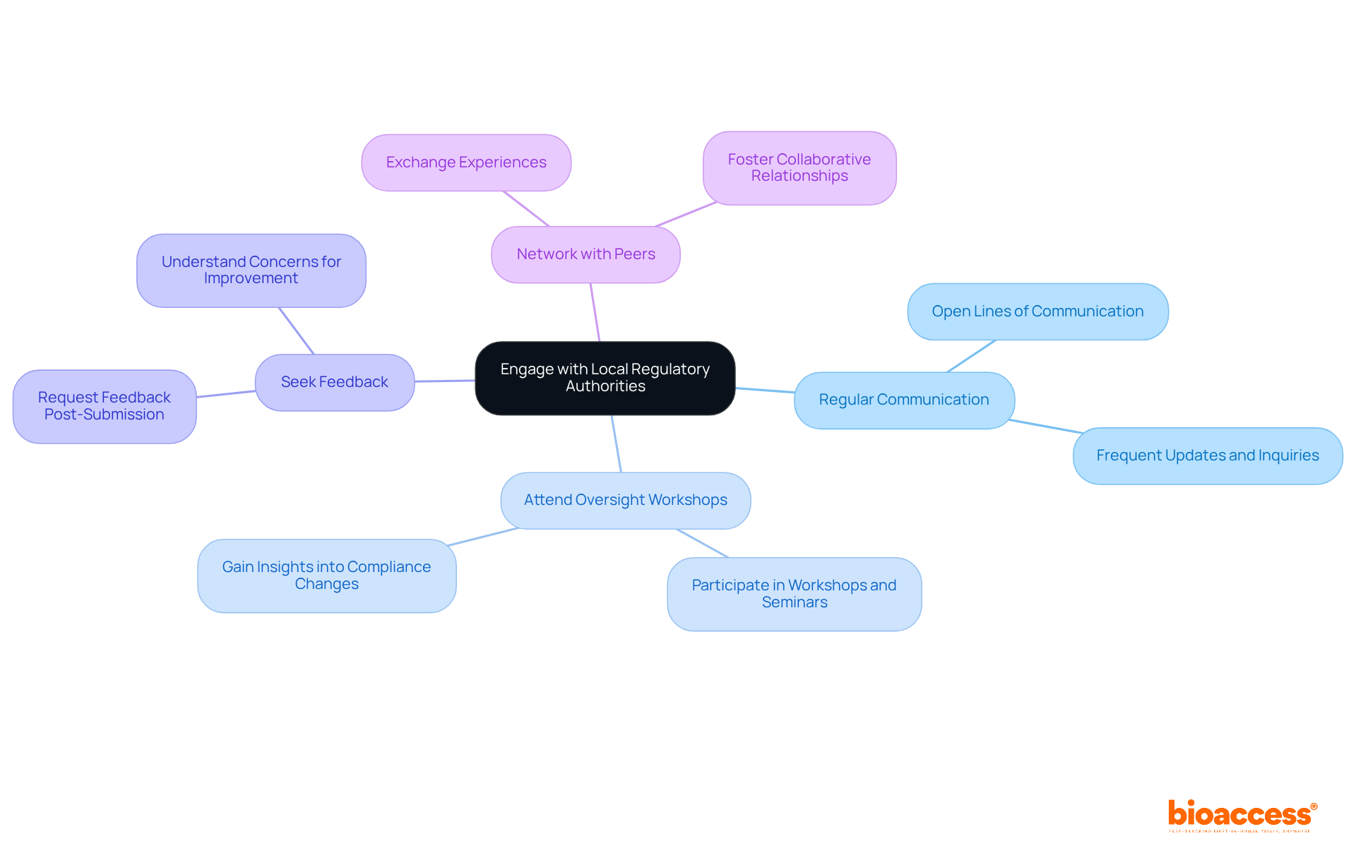 The central node represents the main focus of engagement, while each branch highlights a specific strategy. Follow the branches to see detailed actions that can improve your interactions with regulatory bodies. The central node represents the main focus of engagement, while each branch highlights a specific strategy. Follow the branches to see detailed actions that can improve your interactions with regulatory bodies.