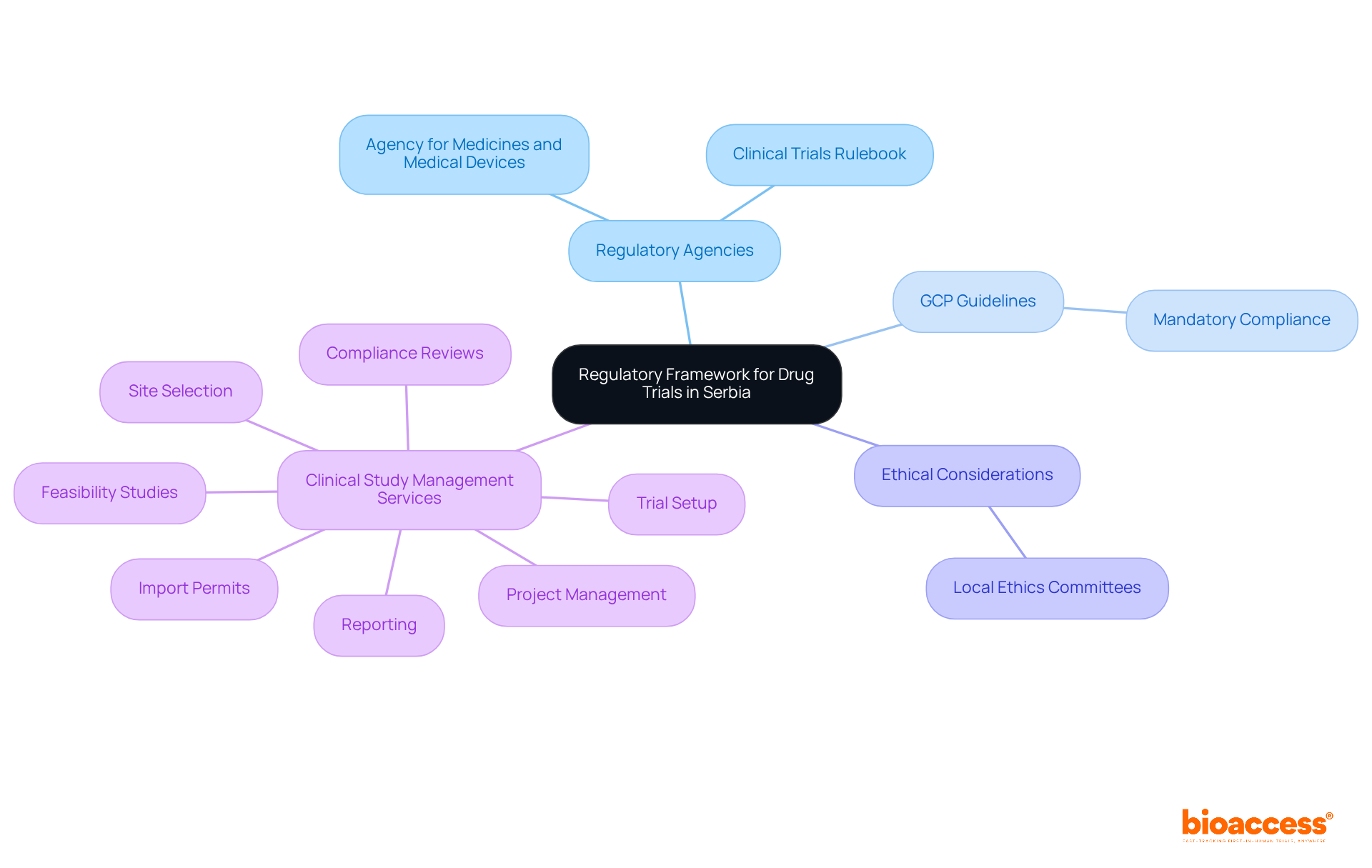 The central node represents the main topic, while the branches show key areas of focus. Each sub-branch provides specific details related to the main topics, helping you understand how they connect and contribute to the overall regulatory landscape.