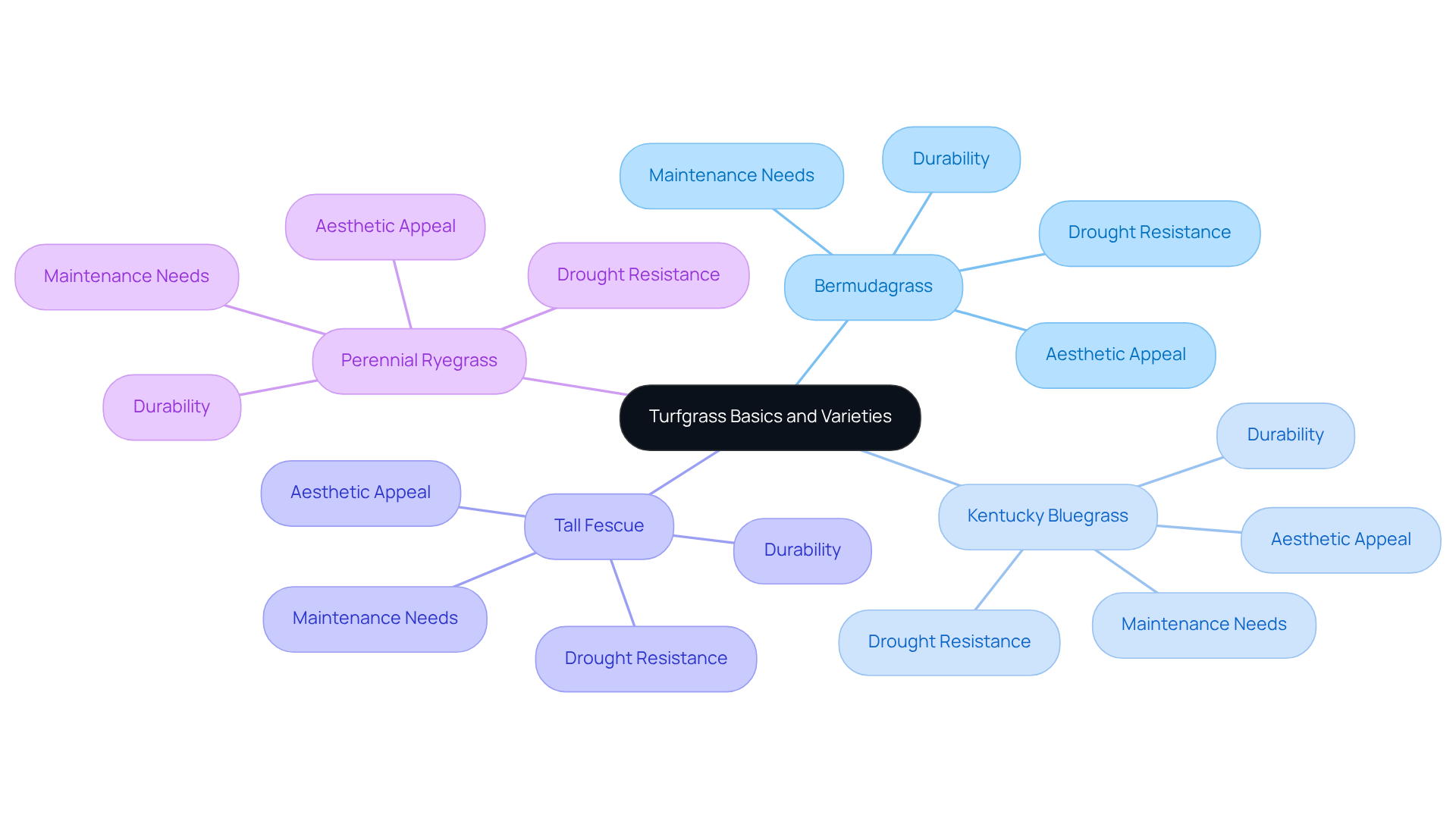 Start at the center with the main topic of turfgrass. Each branch represents a different type of grass, and the sub-branches provide details about their unique qualities and benefits. This helps you understand which grass might be best for your yard.