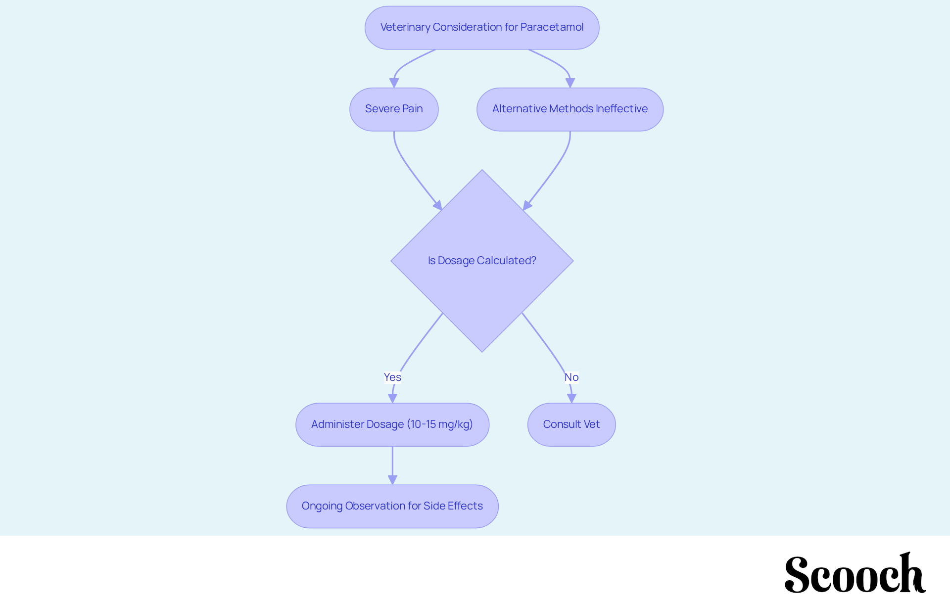 This flowchart guides you through the vet's thought process when considering paracetamol for dogs. Follow the arrows to see how severe pain and ineffective alternatives lead to dosages and monitoring. This flowchart guides you through the vet's thought process when considering paracetamol for dogs. Follow the arrows to see how severe pain and ineffective alternatives lead to dosages and monitoring.