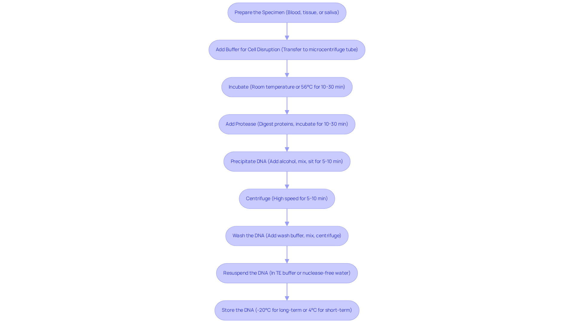 Each box in the flowchart represents a step in the DNA extraction process. Follow the arrows to see how to move from one step to the next, ensuring you complete each part for successful DNA extraction.