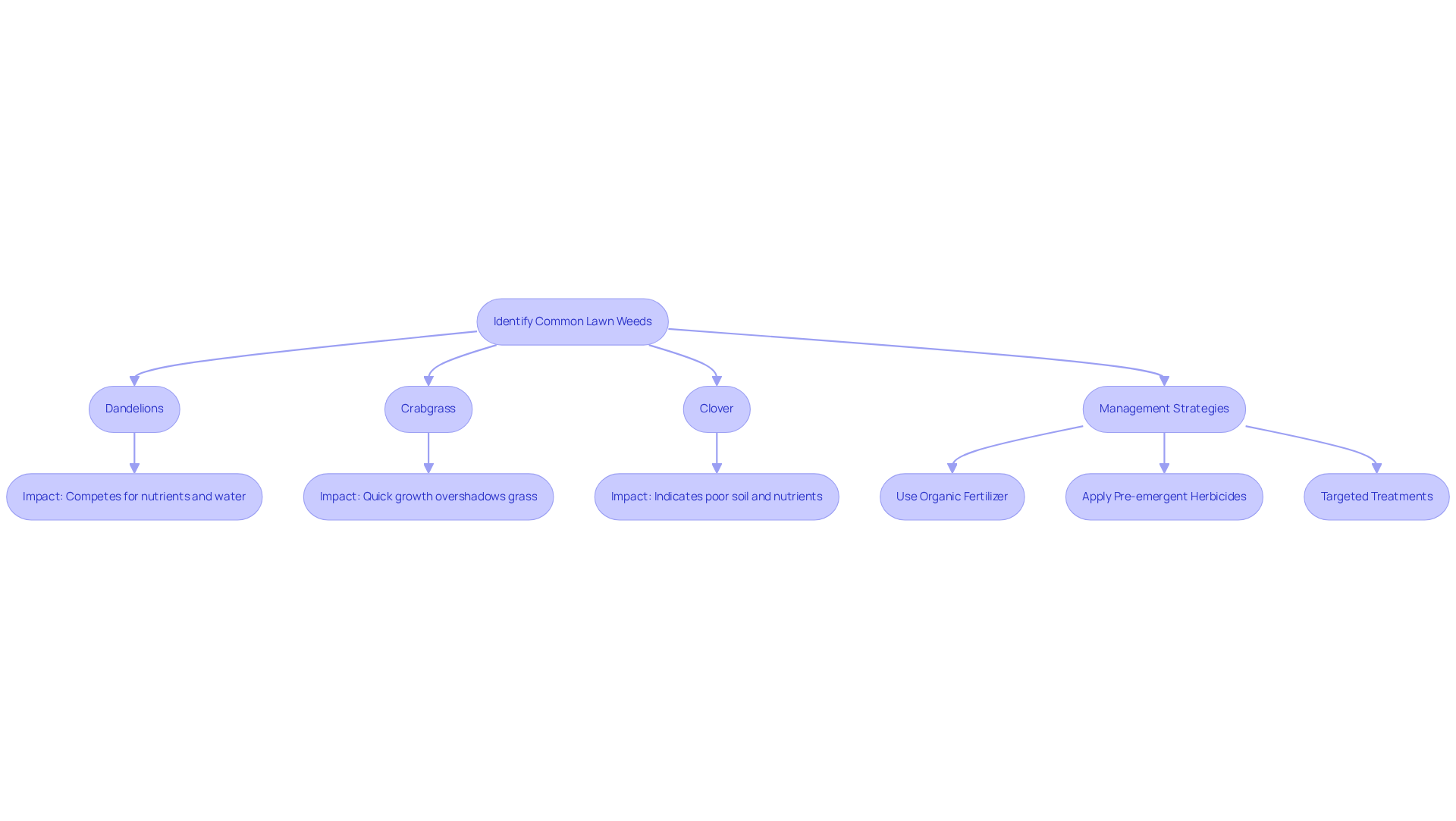Follow the flow from identifying weeds to understanding their impact, and then see the steps you can take to manage them effectively. Each box represents a key point in the process. Follow the flow from identifying weeds to understanding their impact, and then see the steps you can take to manage them effectively. Each box represents a key point in the process.
